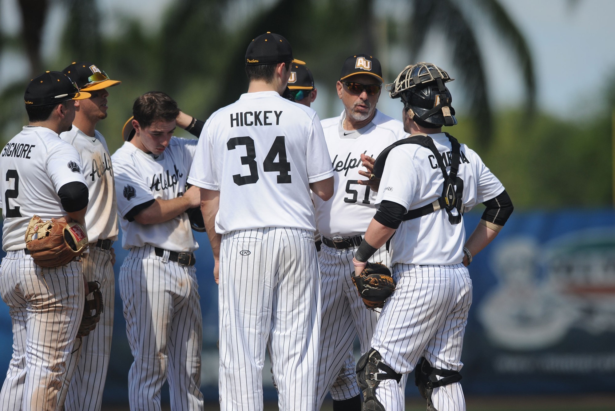 Vincent Sharkey - Baseball - Adelphi University Athletics