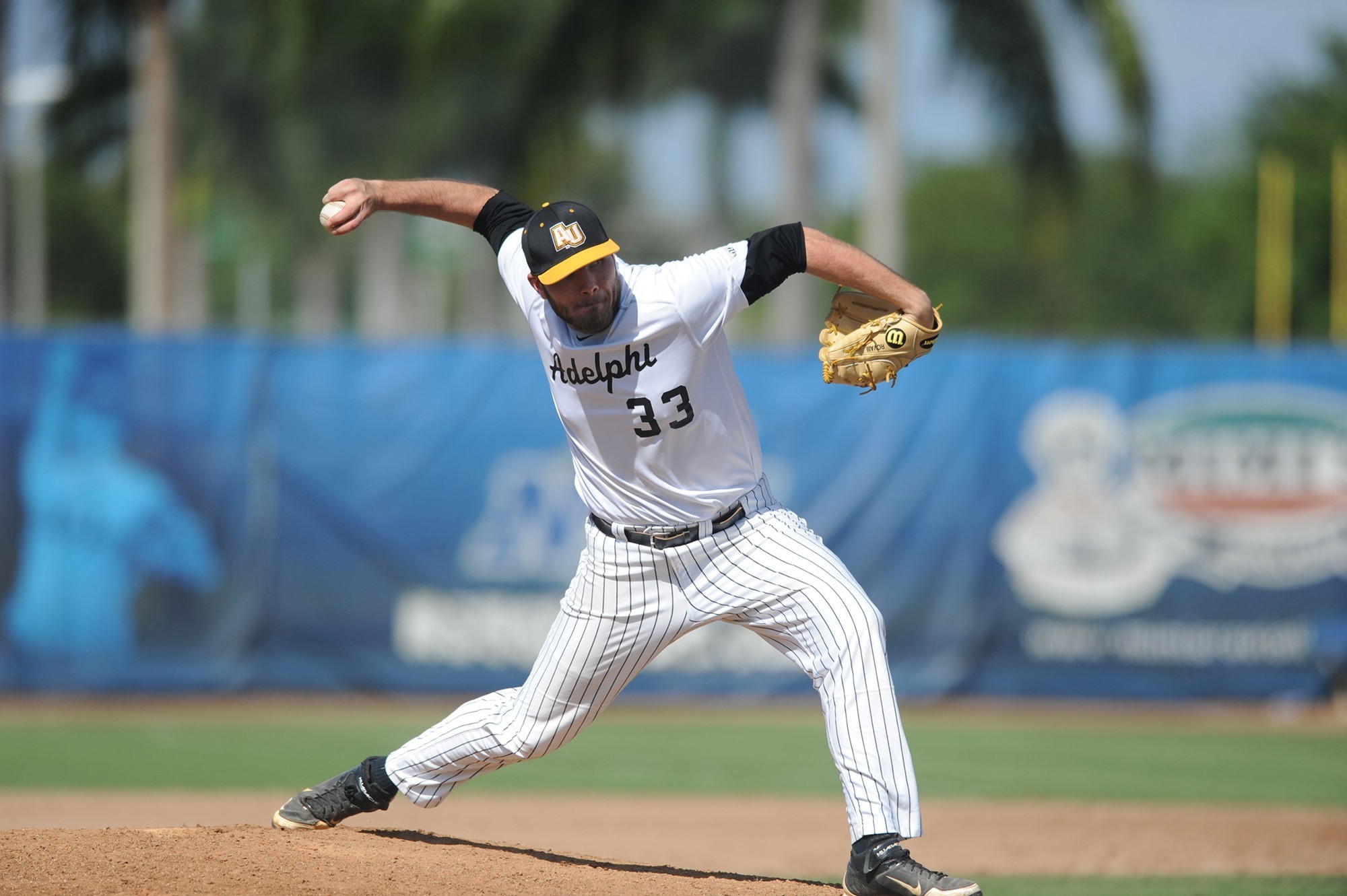 Allen High School Baseball
