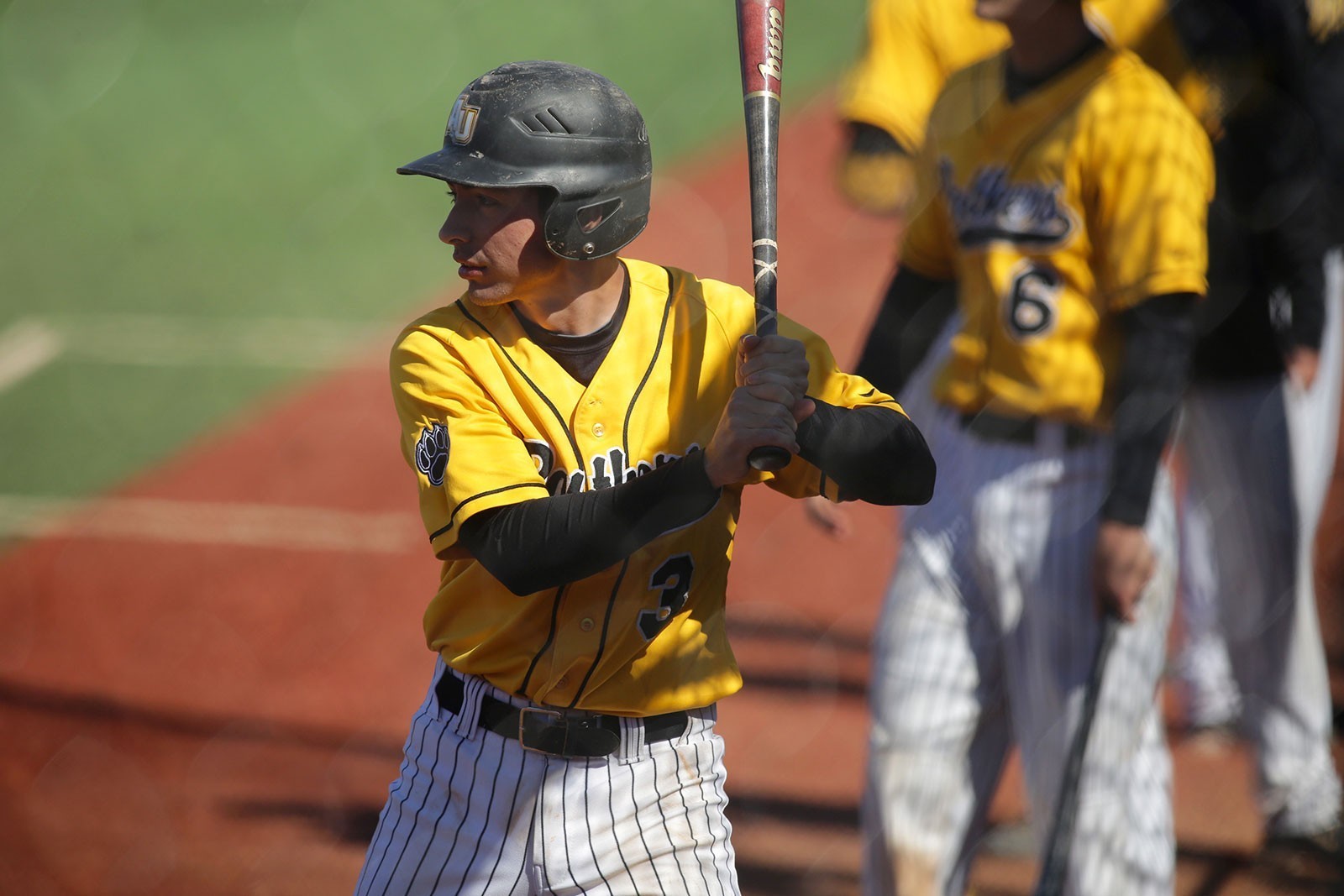 Vincent Sharkey - Baseball - Adelphi University Athletics
