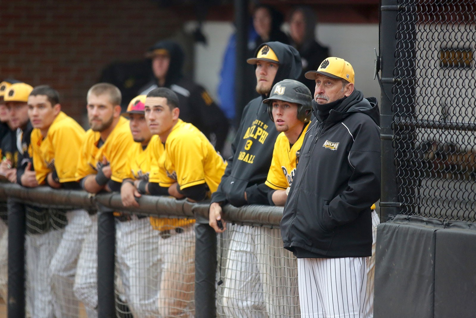 Tyler Murphy - Baseball - Adelphi University Athletics