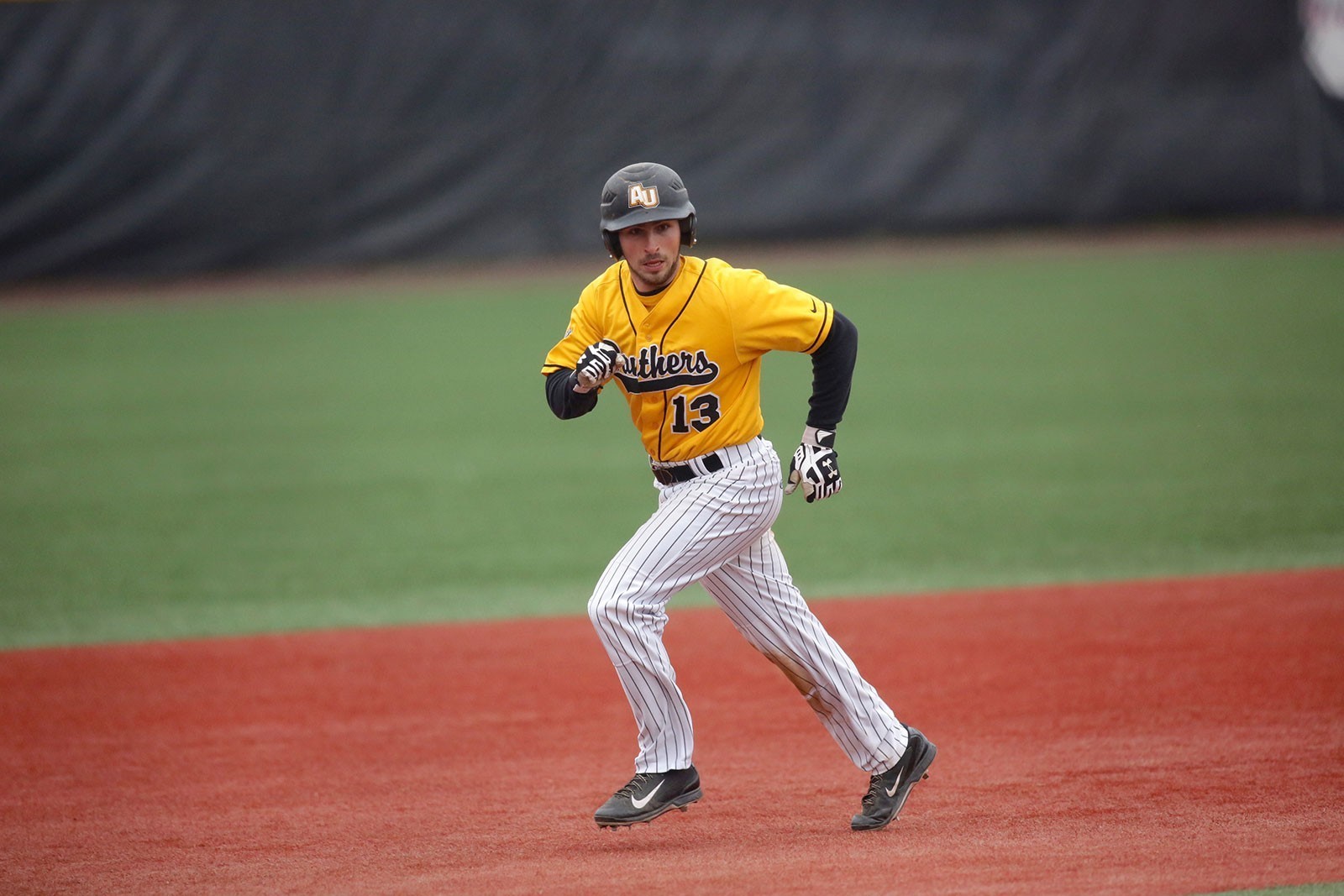 Ray Triano - Baseball - Adelphi University Athletics