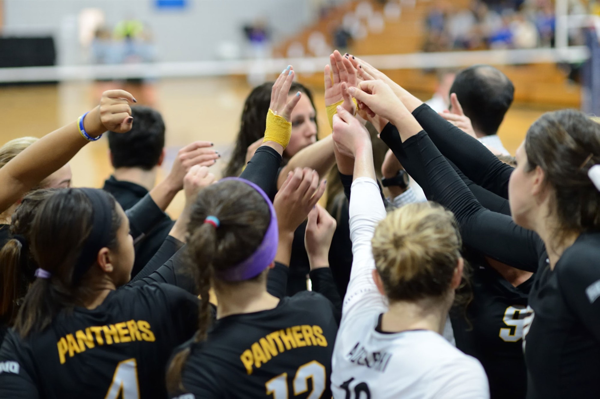 Haley Blunt - Women's Volleyball - Adelphi University Athletics