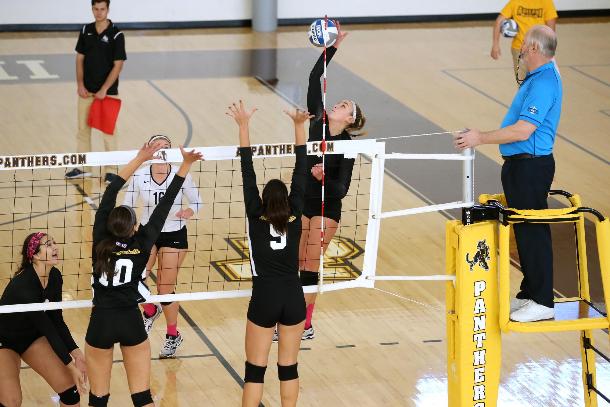 Melissa Rigo - Women's Volleyball - Adelphi University Athletics
