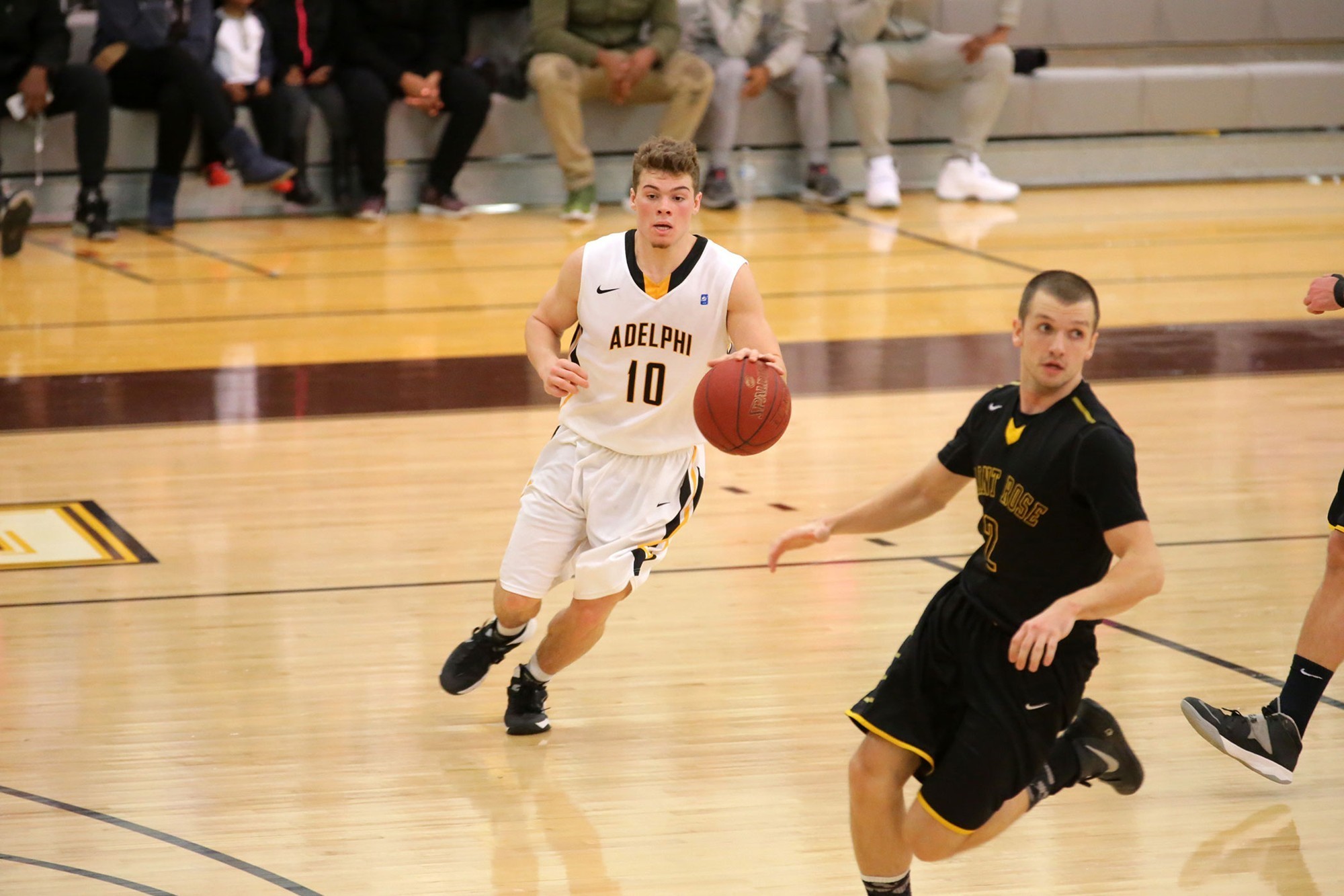 Anthony Libroia - Men's Basketball - Adelphi University Athletics