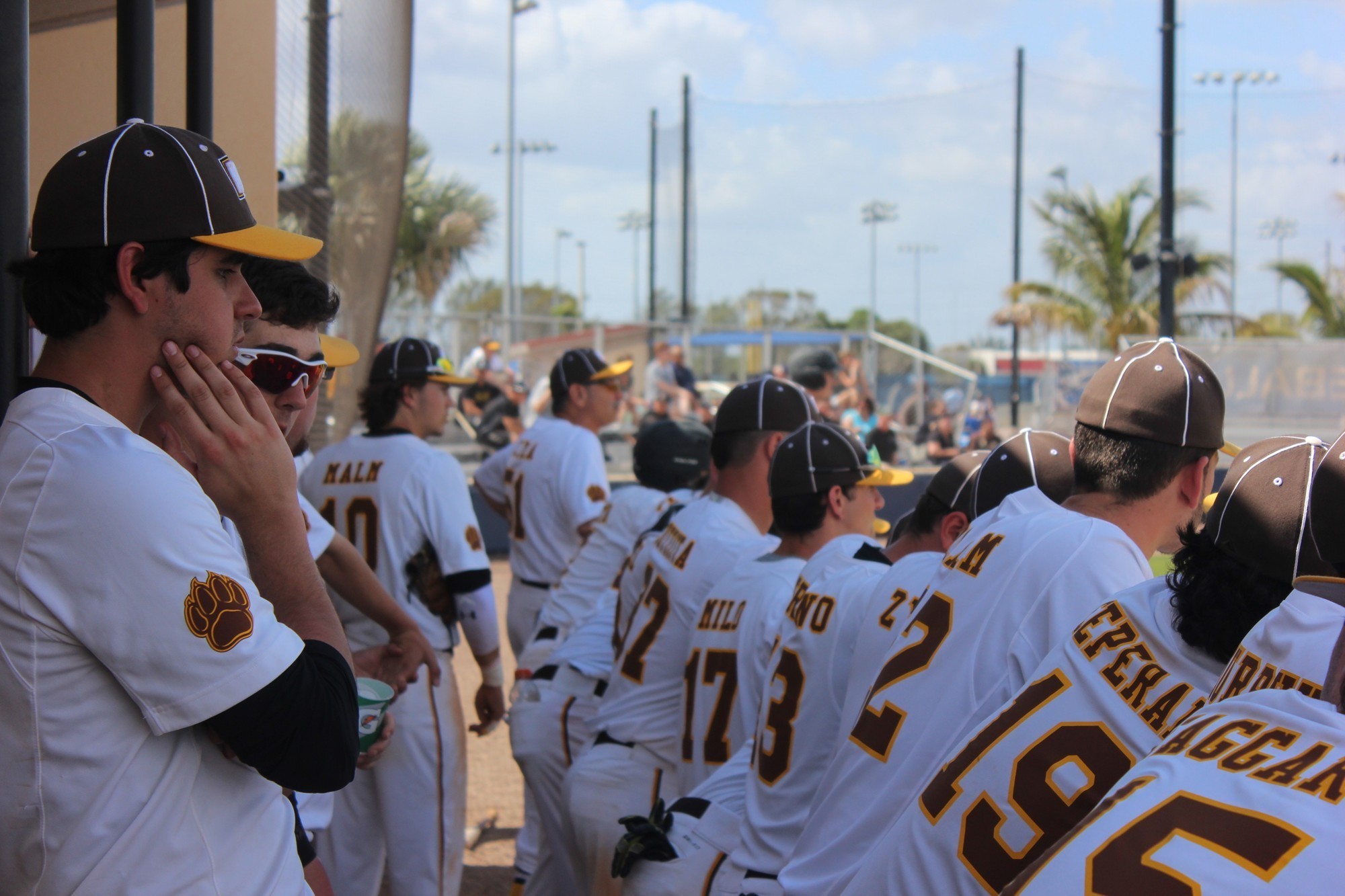 Ray Triano - Baseball - Adelphi University Athletics