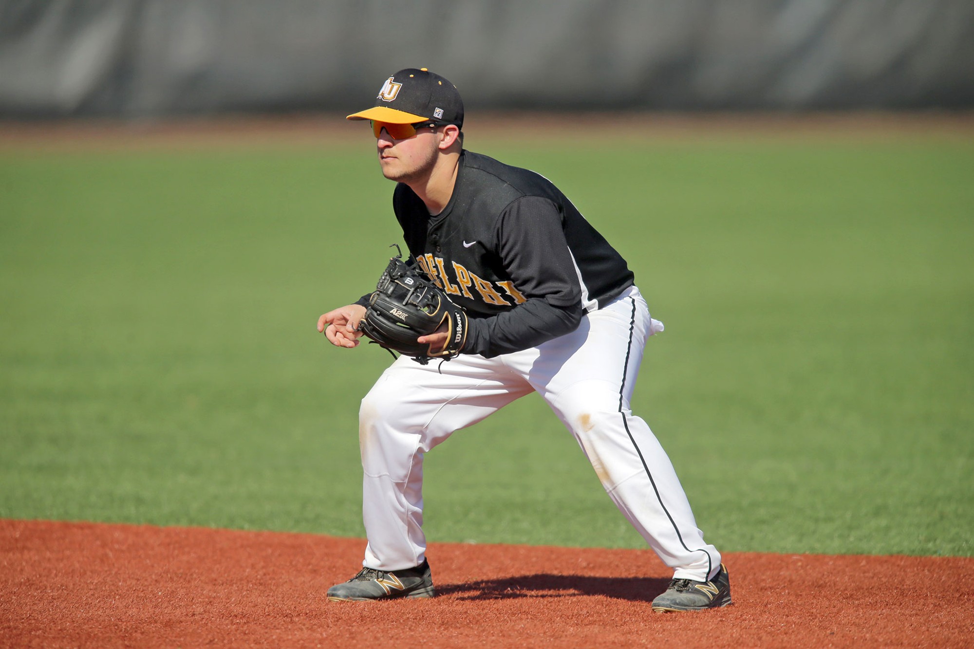 Baseball Powers Past Pioneers, 10-3 - Adelphi University Athletics