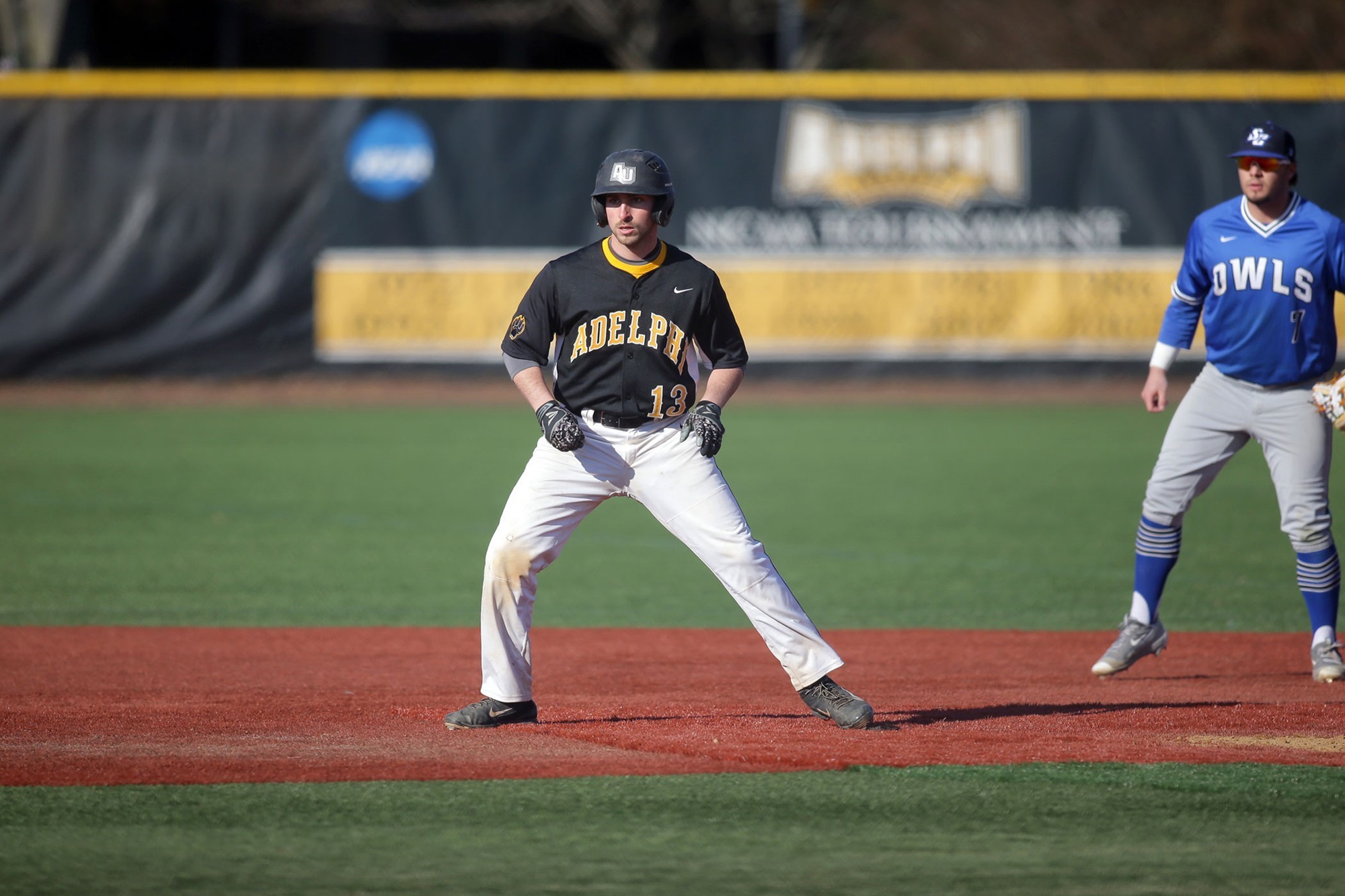 Ray Triano - Baseball - Adelphi University Athletics