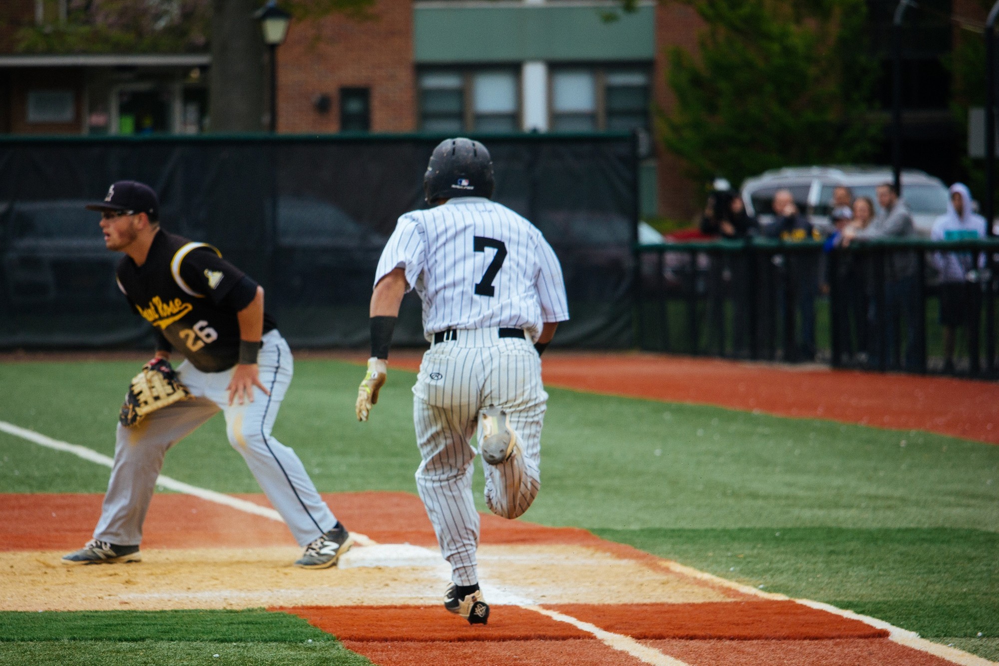Michael Stack - Baseball - Adelphi University Athletics