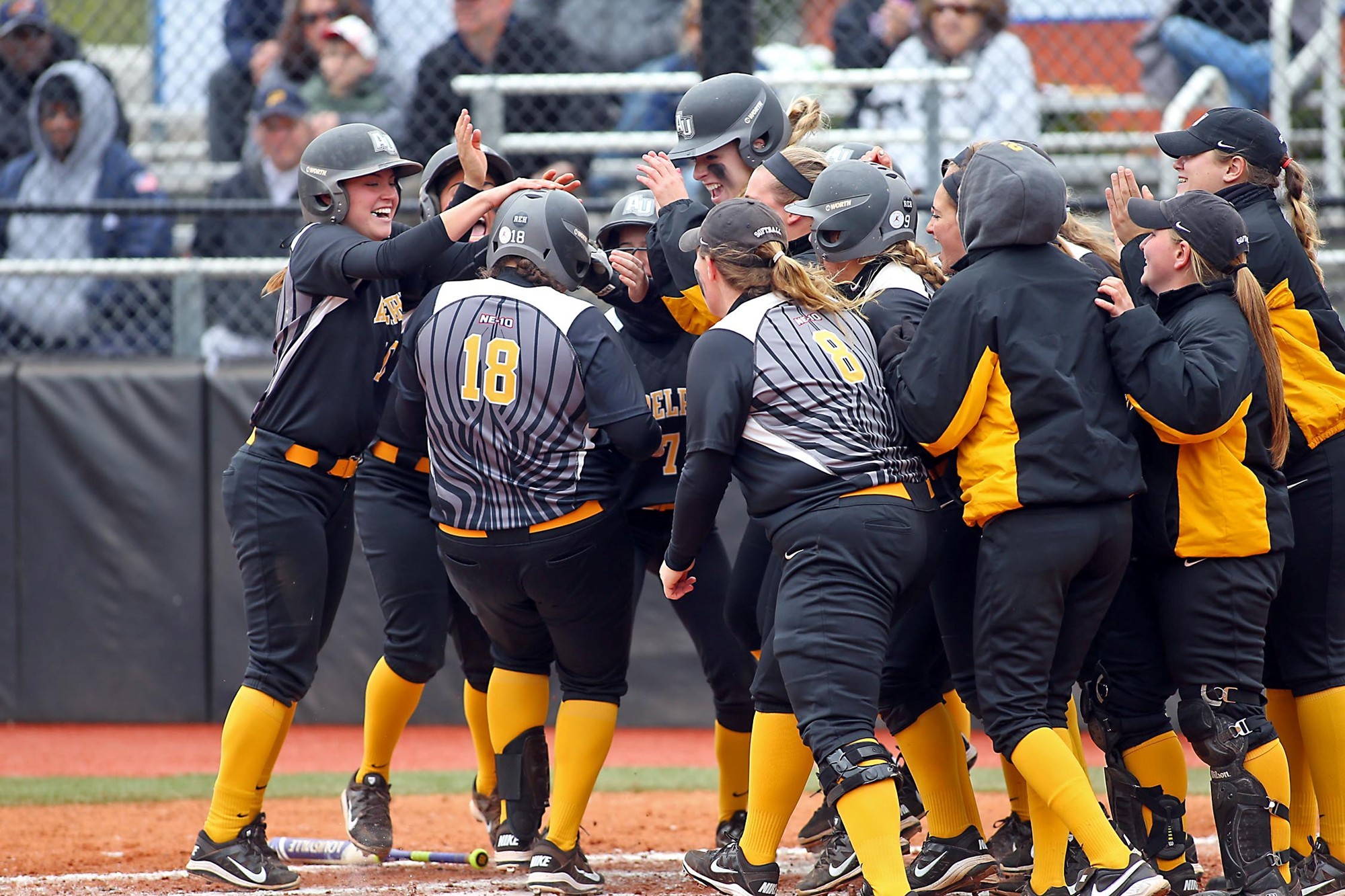 Stephanie Barbaro - Softball - Adelphi University Athletics