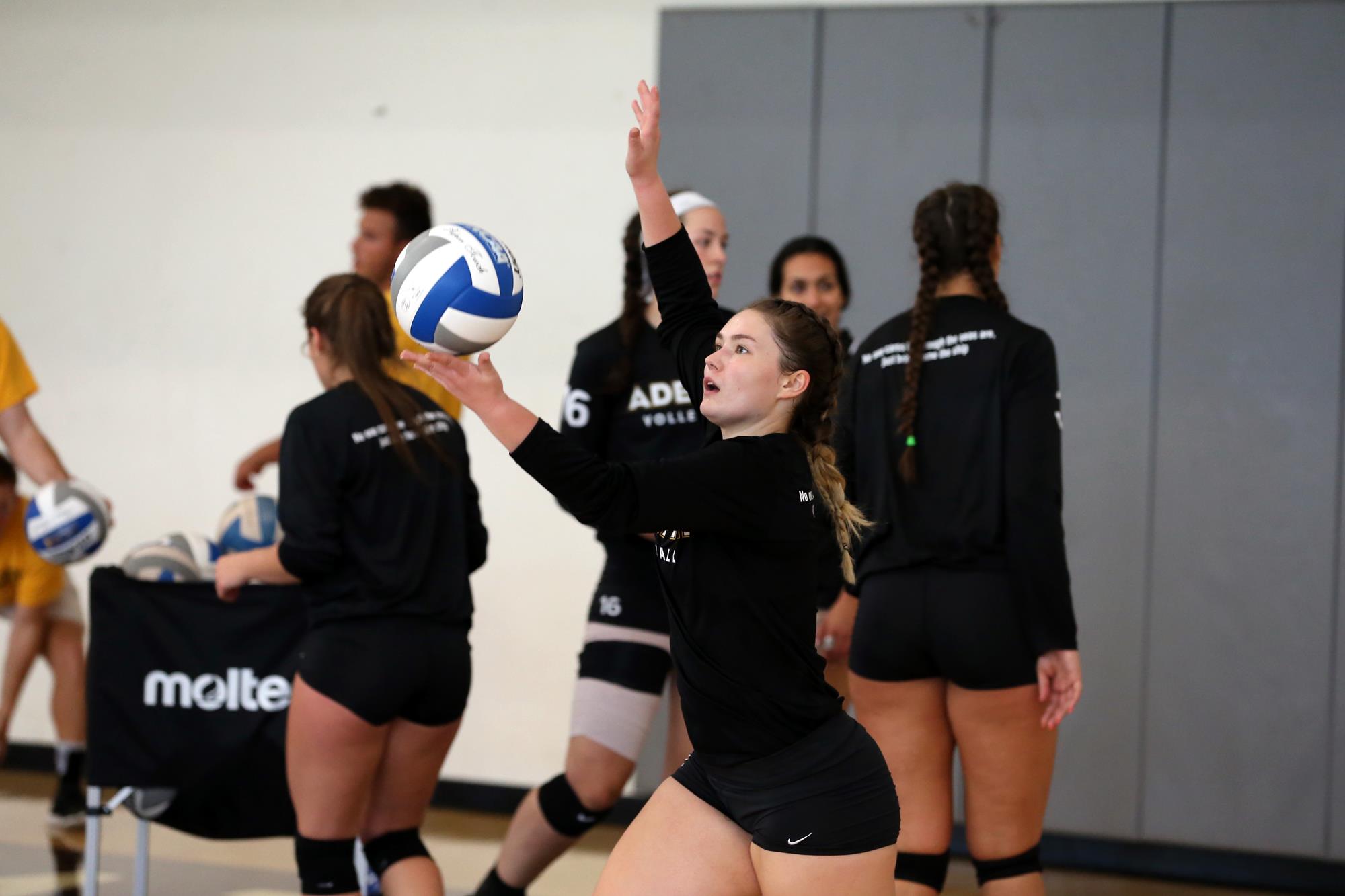 Courtney Crook - Women's Volleyball - Adelphi University Athletics