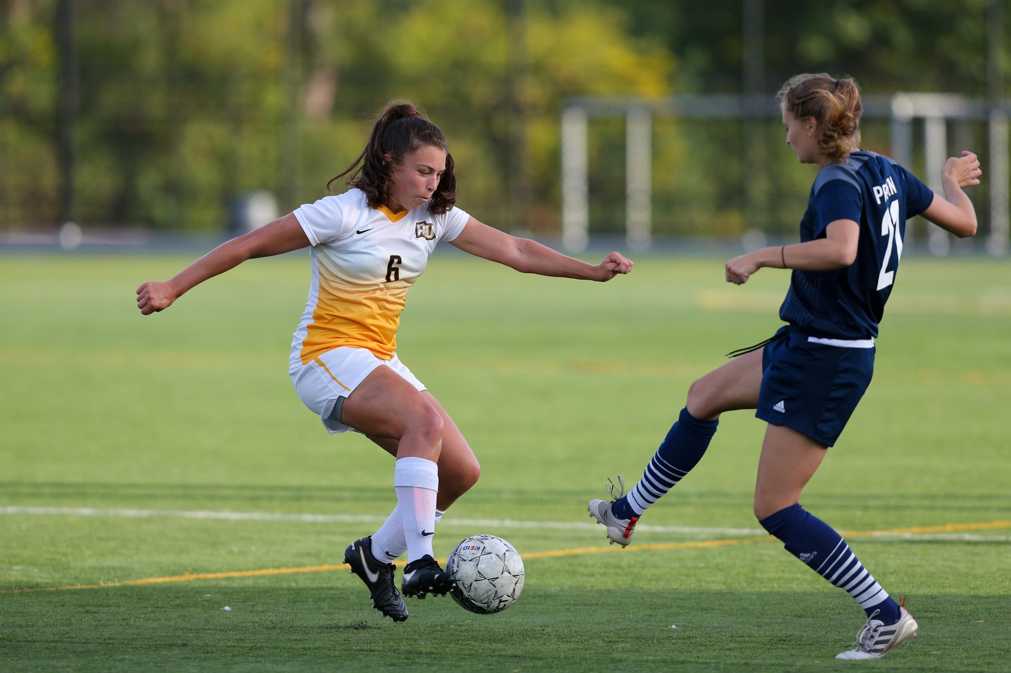 Michelle Wienecke - Women's Soccer - Adelphi University Athletics