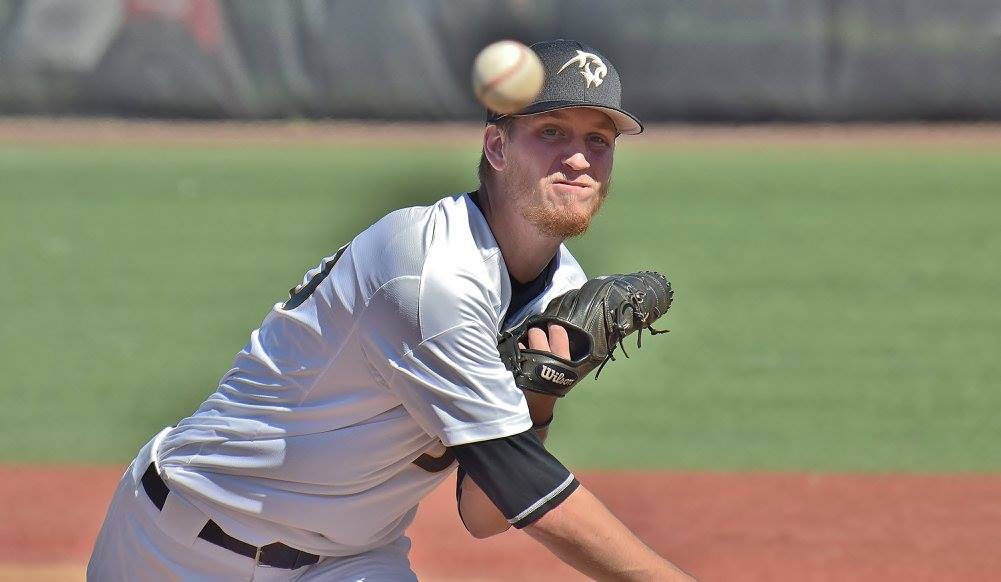Michael Tarpey - Baseball - Adelphi University Athletics