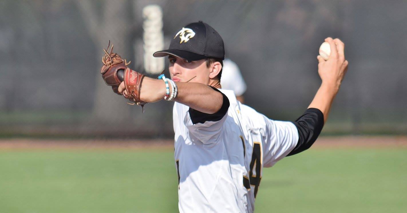 Austin Cole - Baseball - Adelphi University Athletics