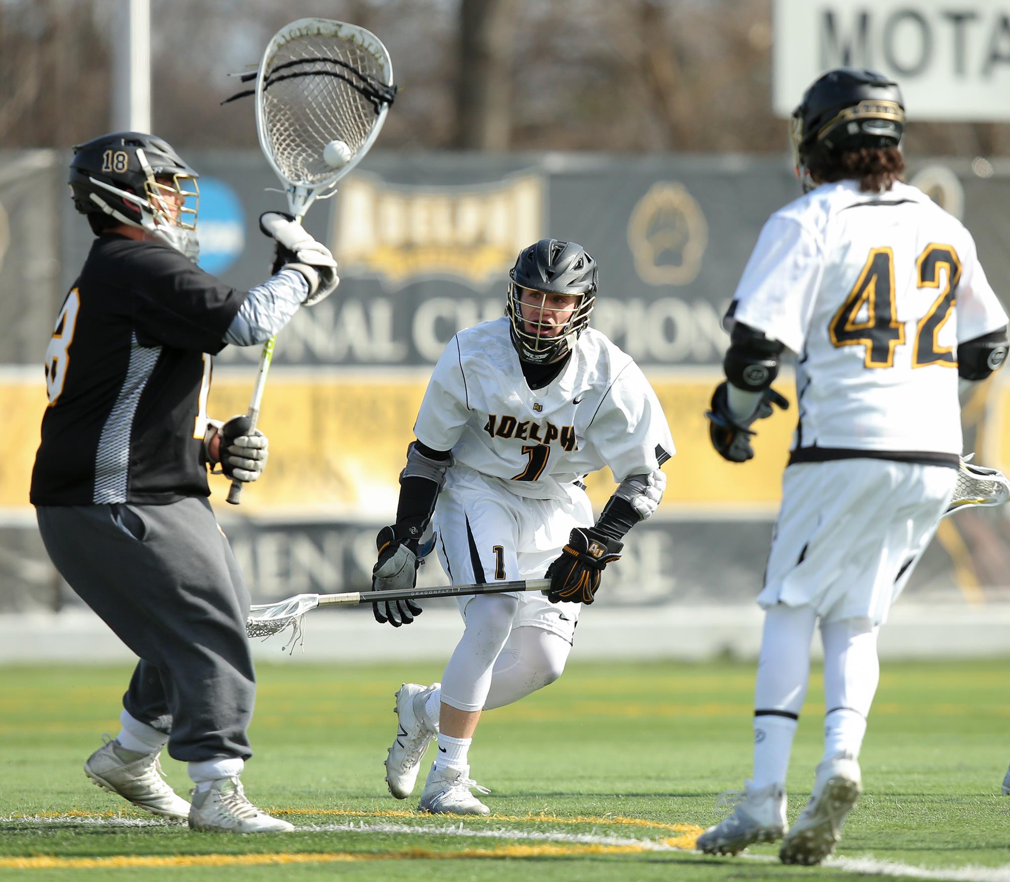 Shane deBoer - Men's Lacrosse - Adelphi University Athletics