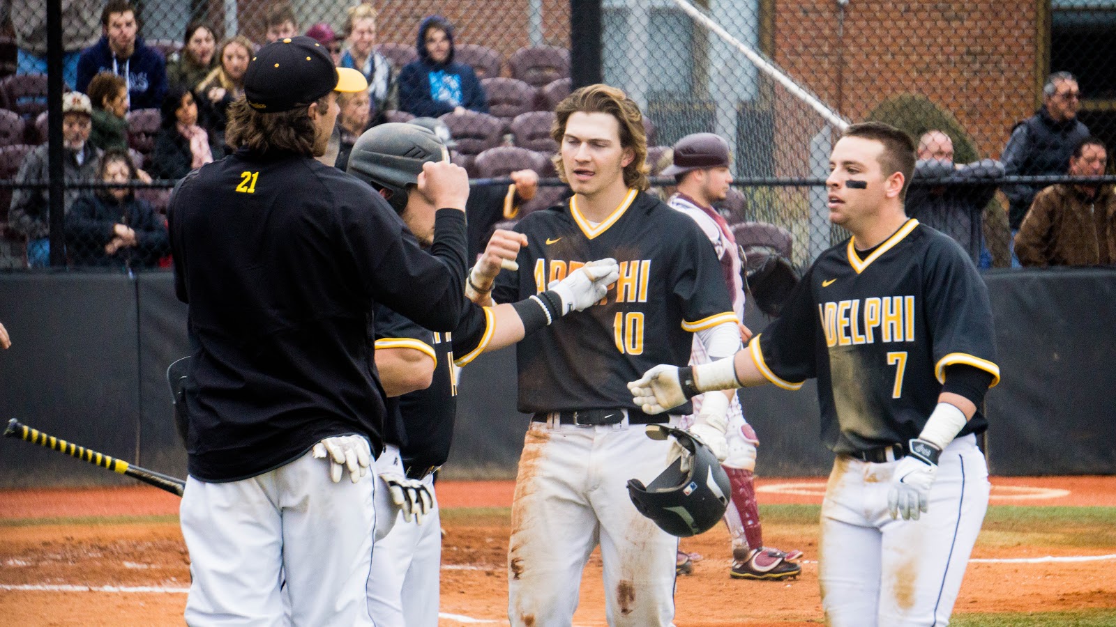 Michael Stack - Baseball - Adelphi University Athletics