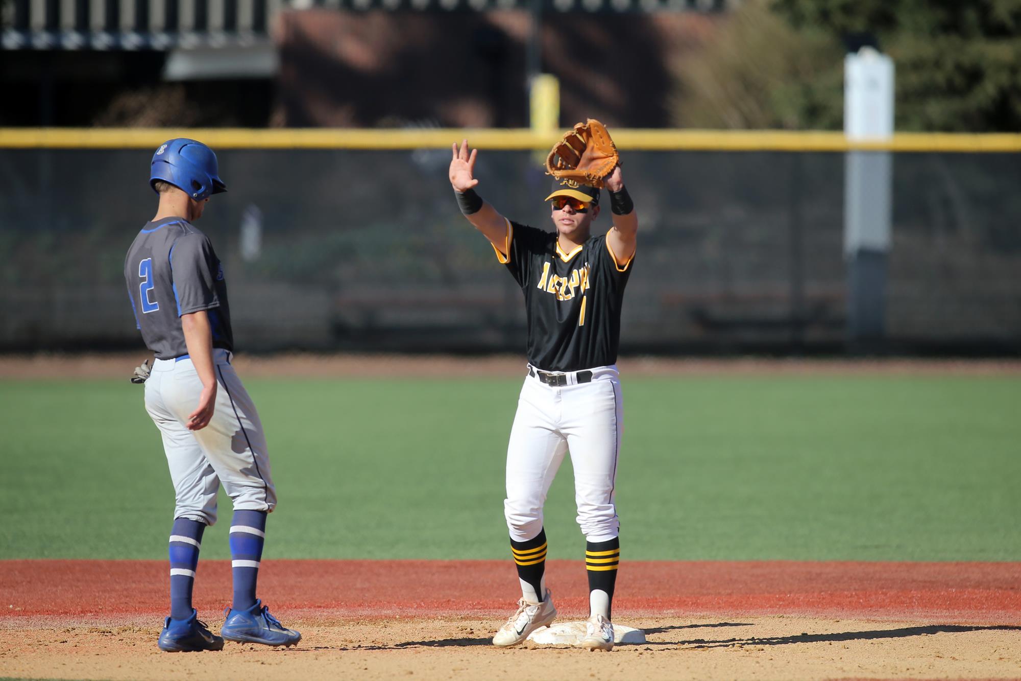 Michael Stack - Baseball - Adelphi University Athletics