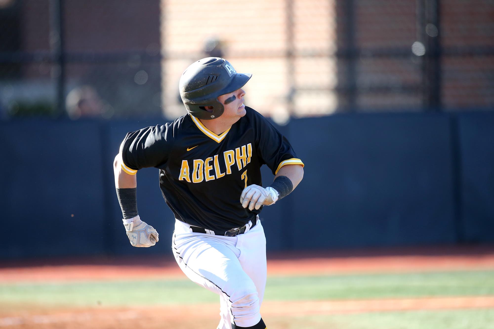 Michael Stack - Baseball - Adelphi University Athletics
