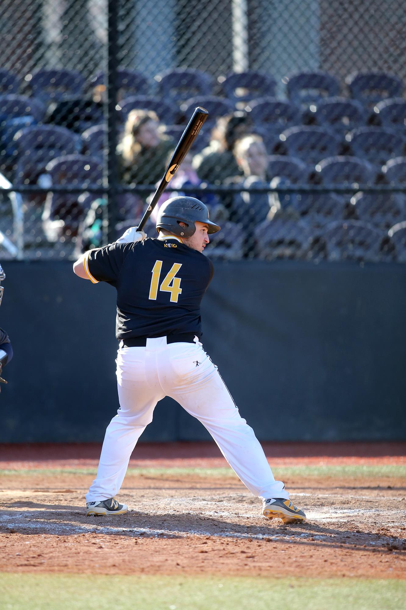Zack Levinson - Baseball - Adelphi University Athletics