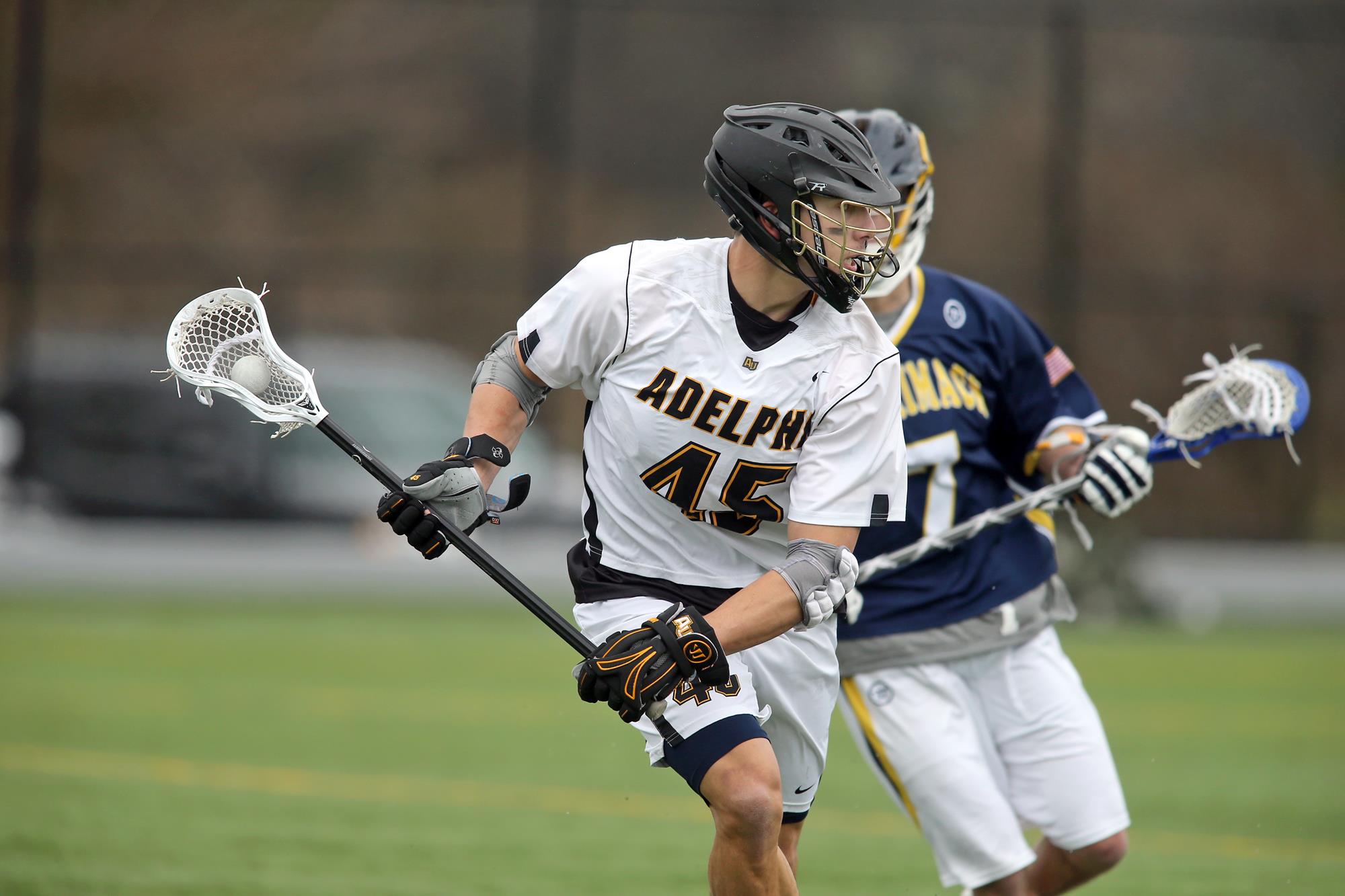 Nick Reisig - Men's Lacrosse - Adelphi University Athletics