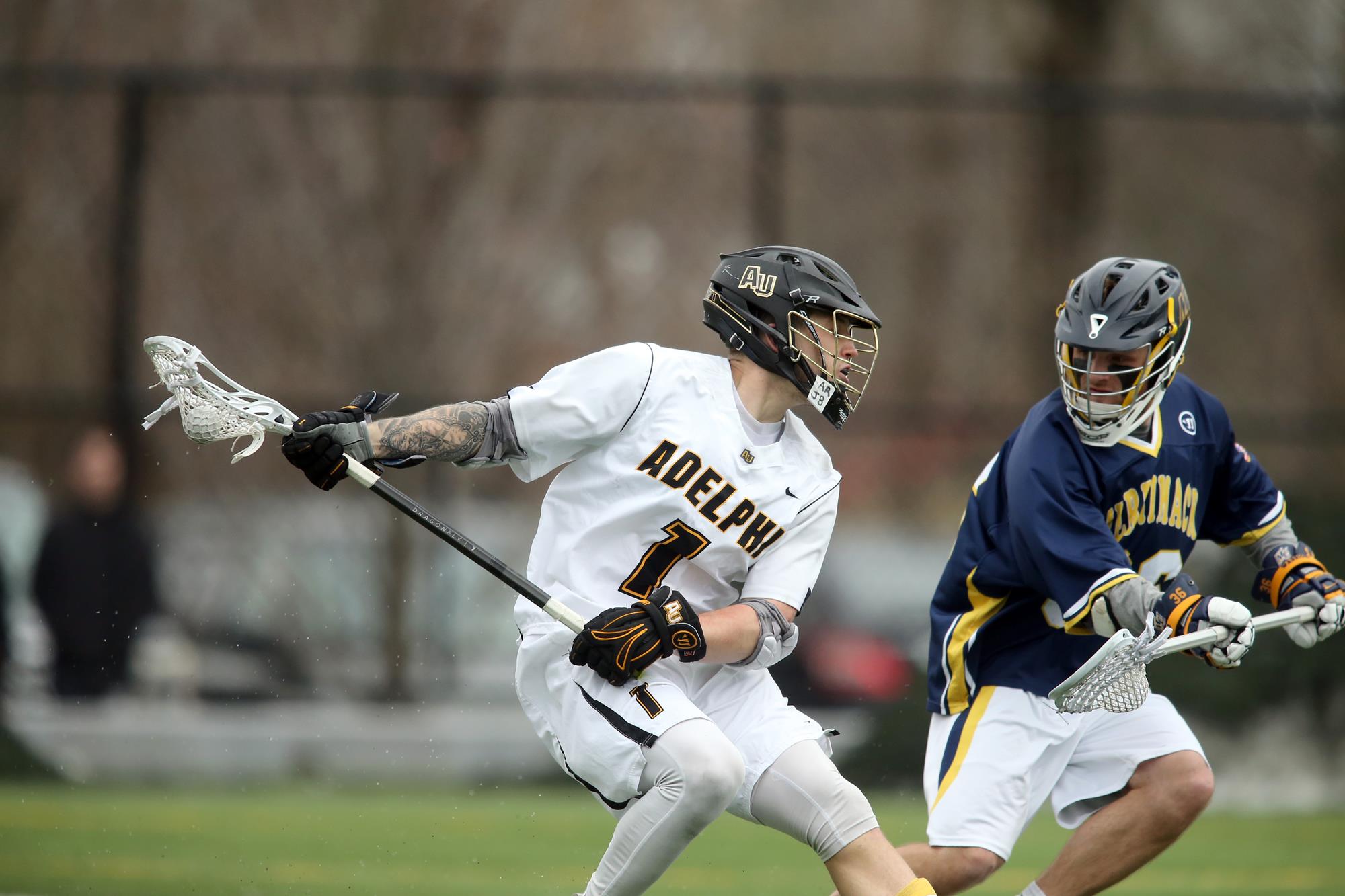 Shane deBoer - Men's Lacrosse - Adelphi University Athletics