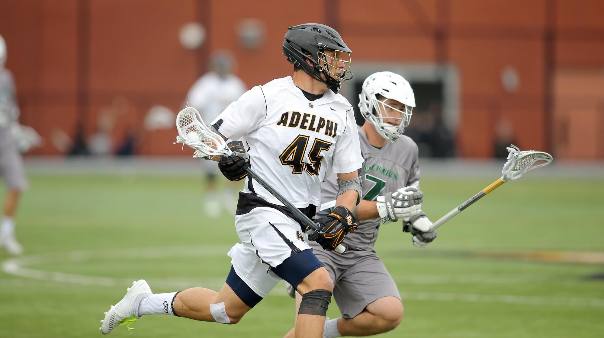 Nick Reisig - Men's Lacrosse - Adelphi University Athletics