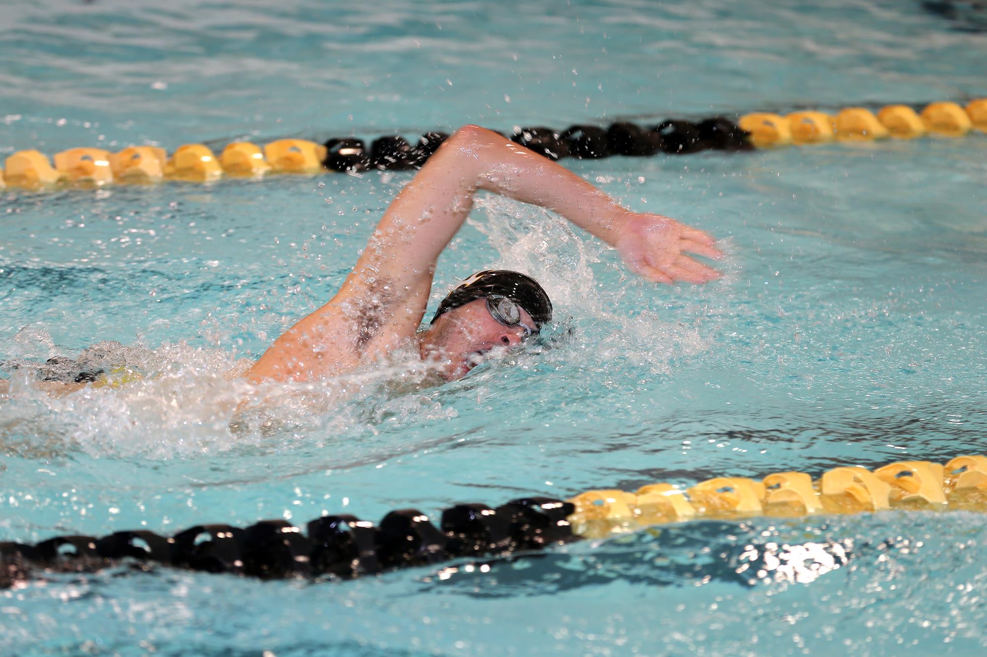 John Rotolo - Swimming and Diving - Adelphi University Athletics