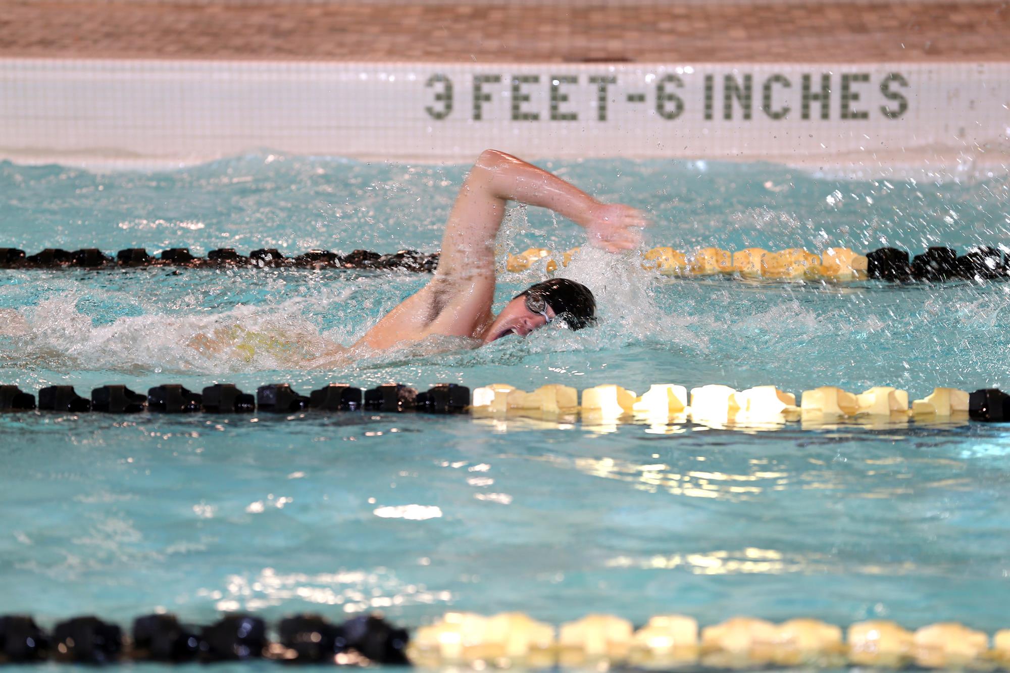 John Rotolo - Swimming and Diving - Adelphi University Athletics