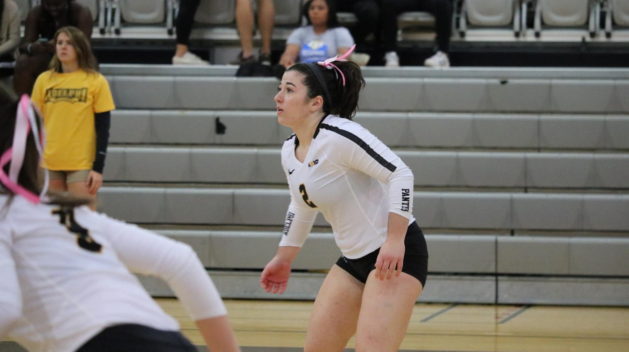 Stephanie Milillo - Women's Volleyball - Adelphi University Athletics