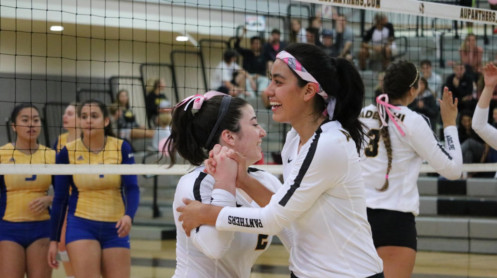 Stephanie Milillo - Women's Volleyball - Adelphi University Athletics