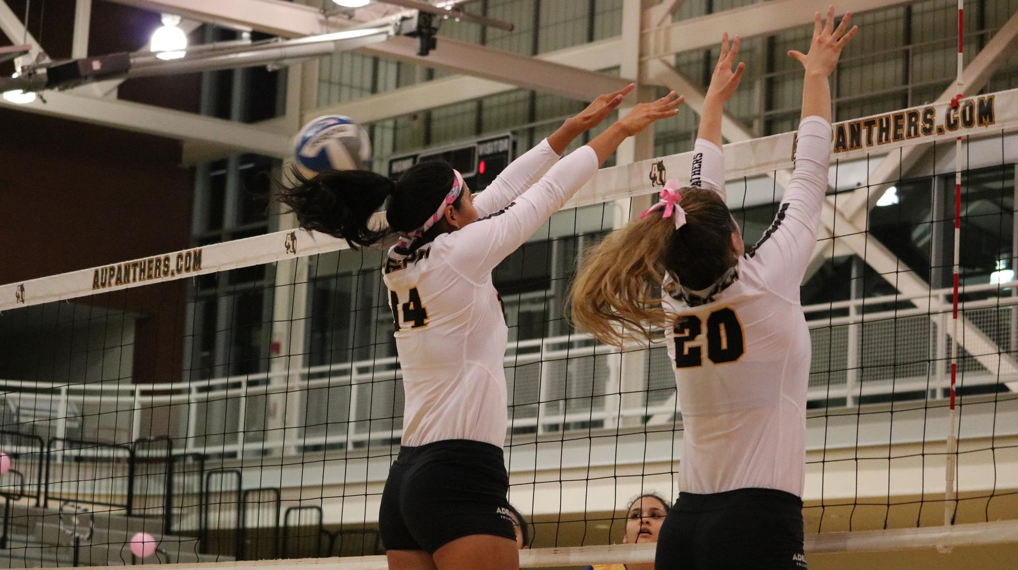 Sophia Powless - Women's Volleyball - Adelphi University Athletics