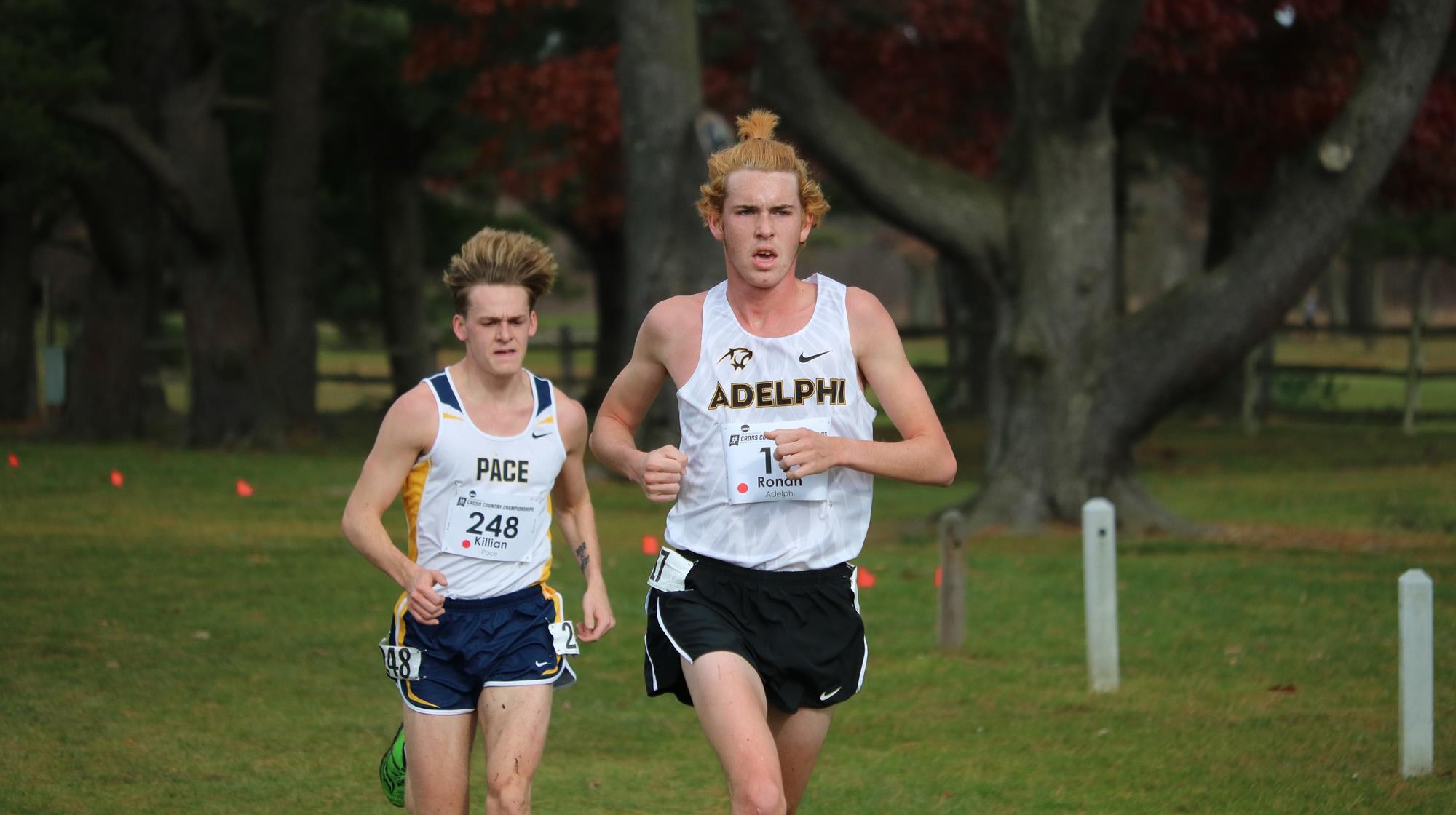 Ronan Smith - Cross Country - Adelphi University Athletics