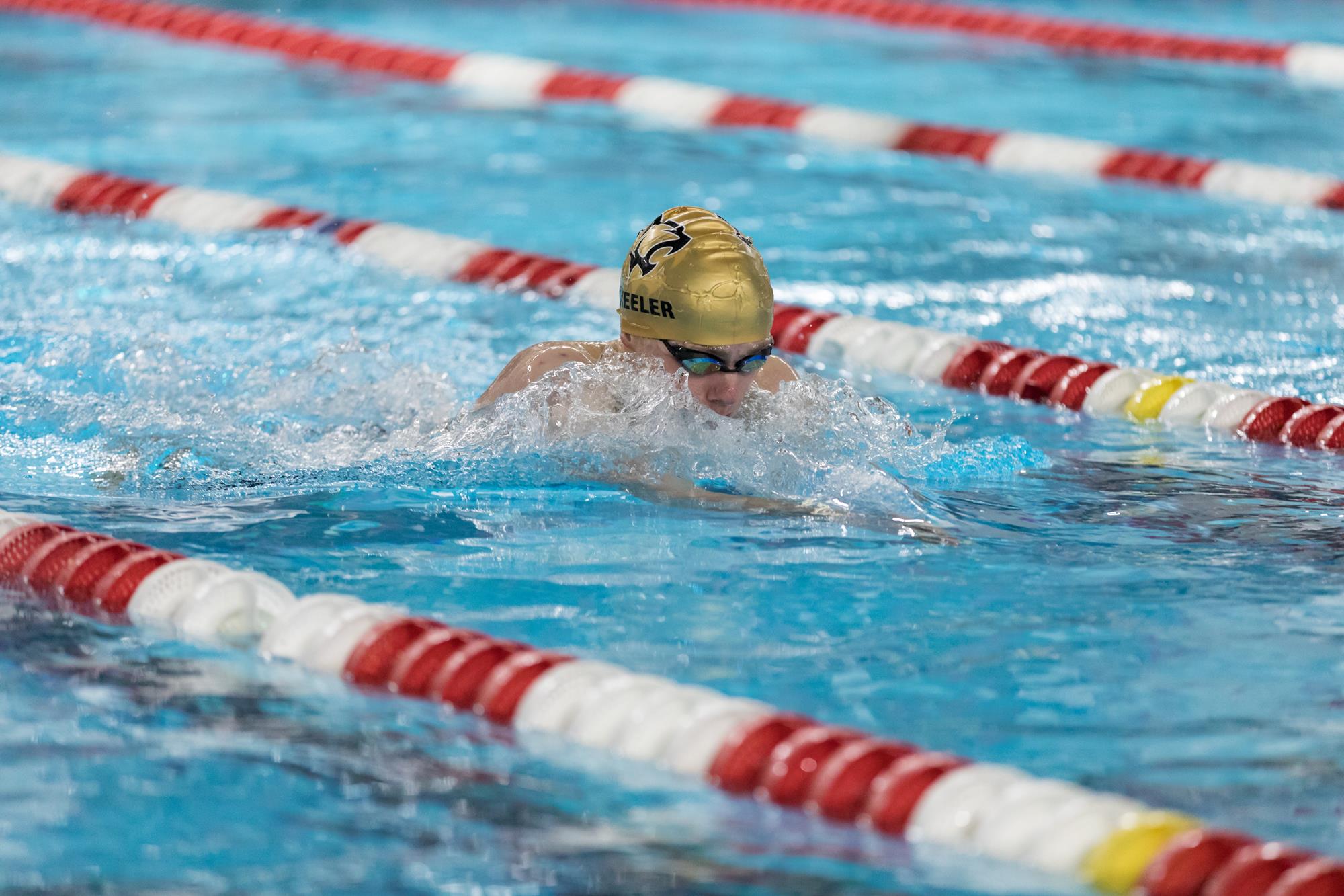 Jack Wheeler - Swimming and Diving - Adelphi University Athletics