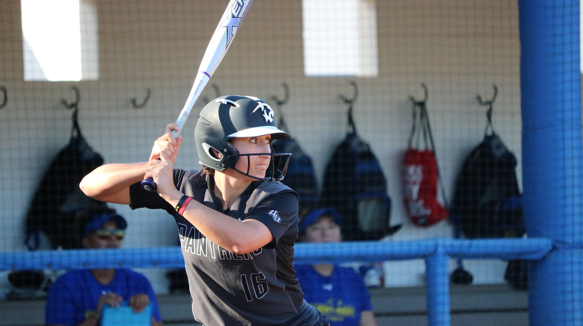 Late Game Two Rally Falls Short, Softball Swept at Embry-Riddle ...