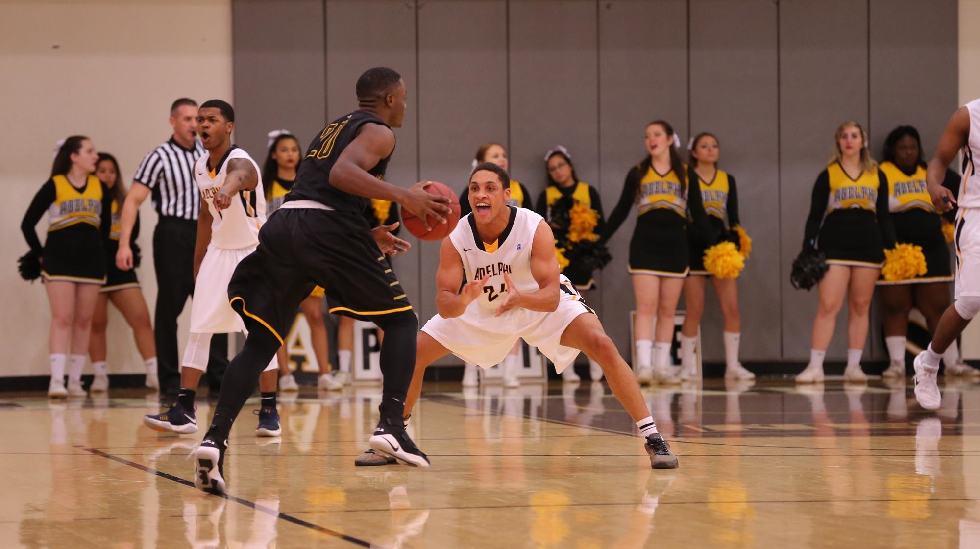 Doug Chappell - Men's Basketball - Adelphi University Athletics