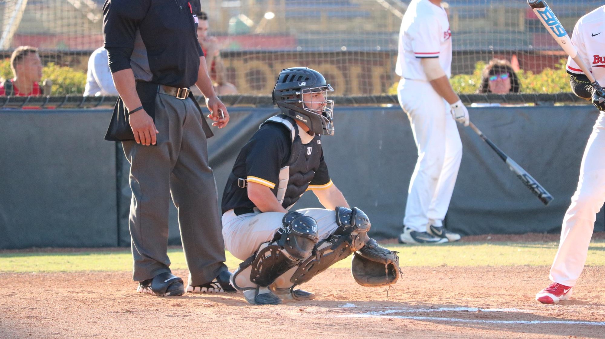 Kory Cassara - Baseball - Adelphi University Athletics