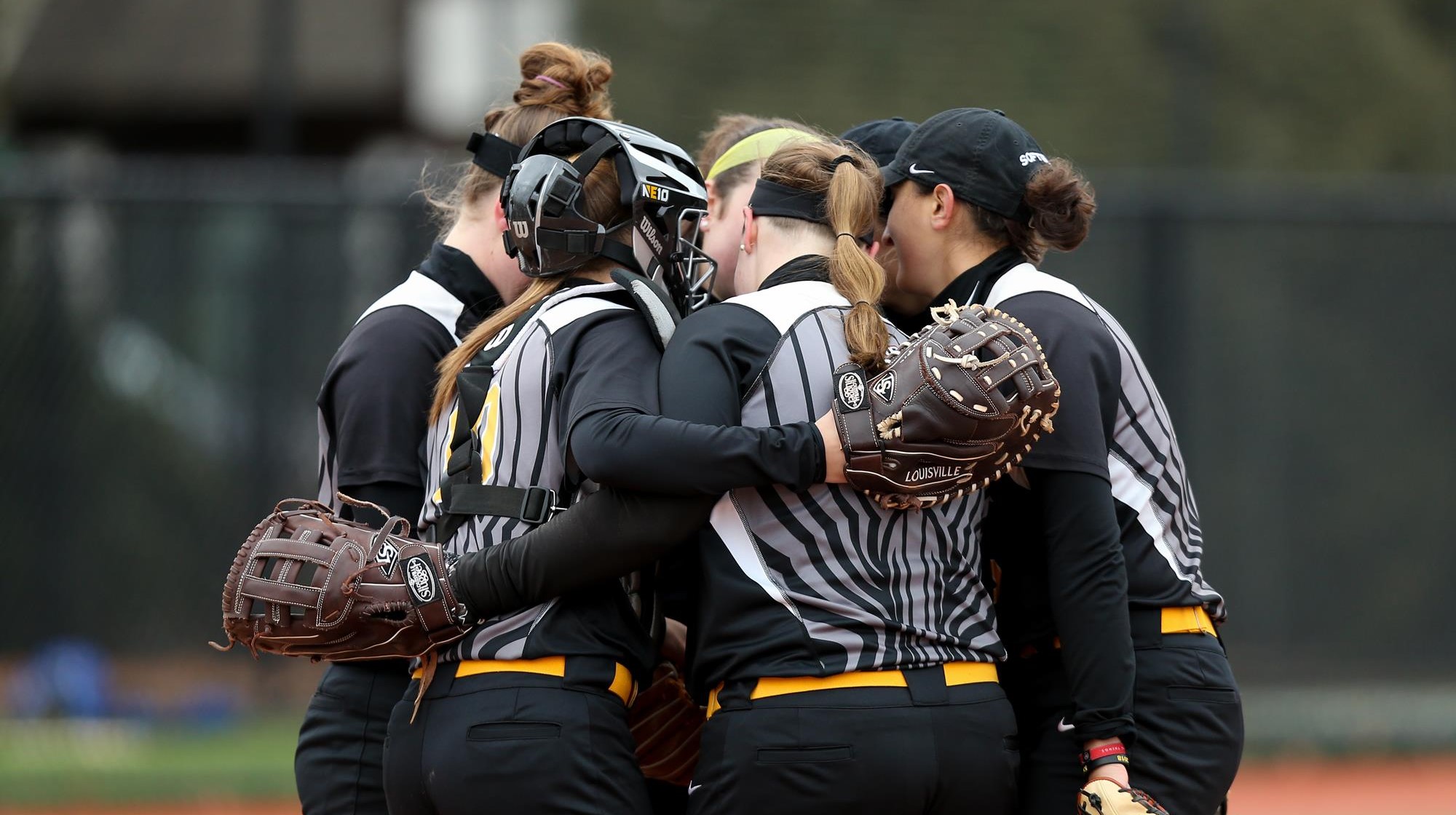 Softball Season Ends in NCAA East Region Final vs. LIU Post - Adelphi ...