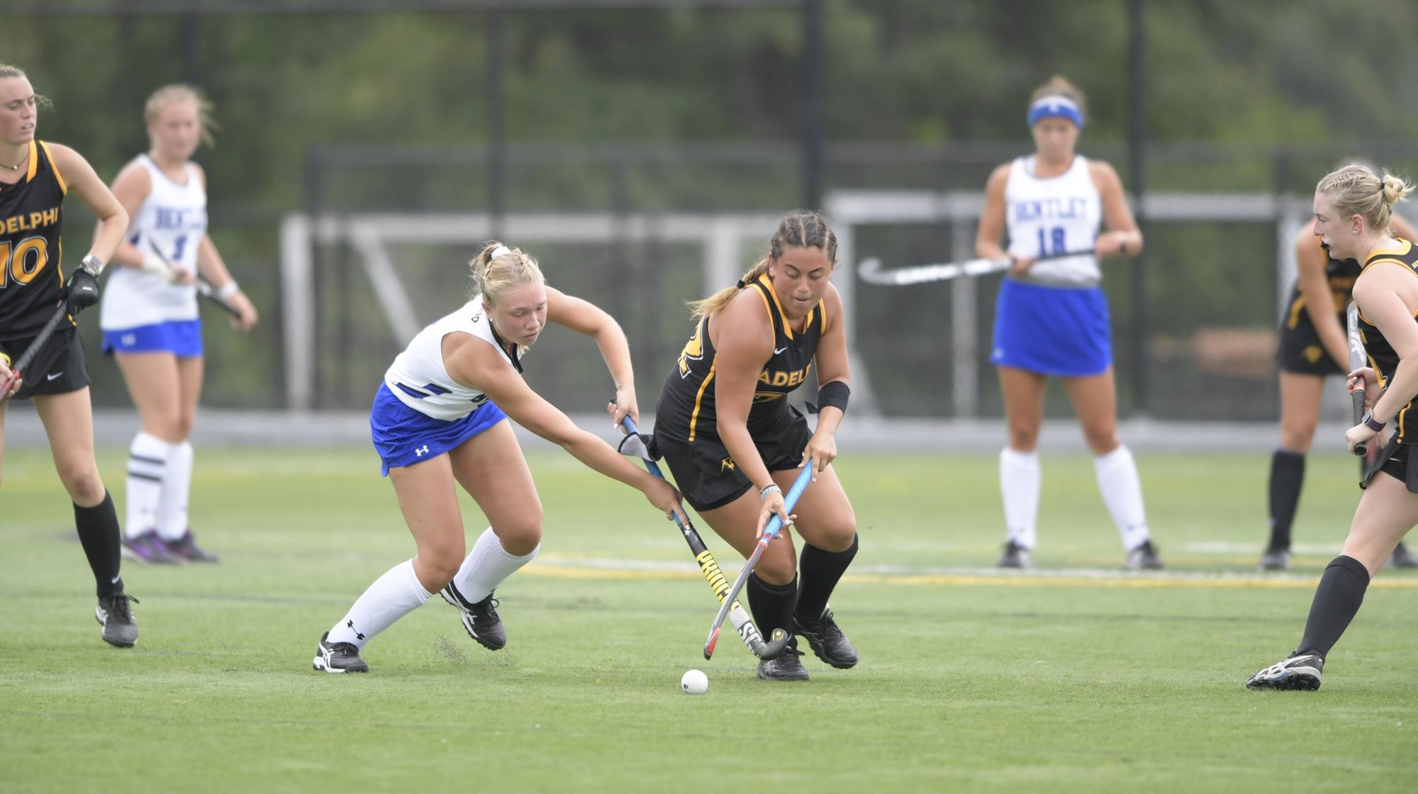 Jessica Lodato - Field Hockey - Adelphi University Athletics