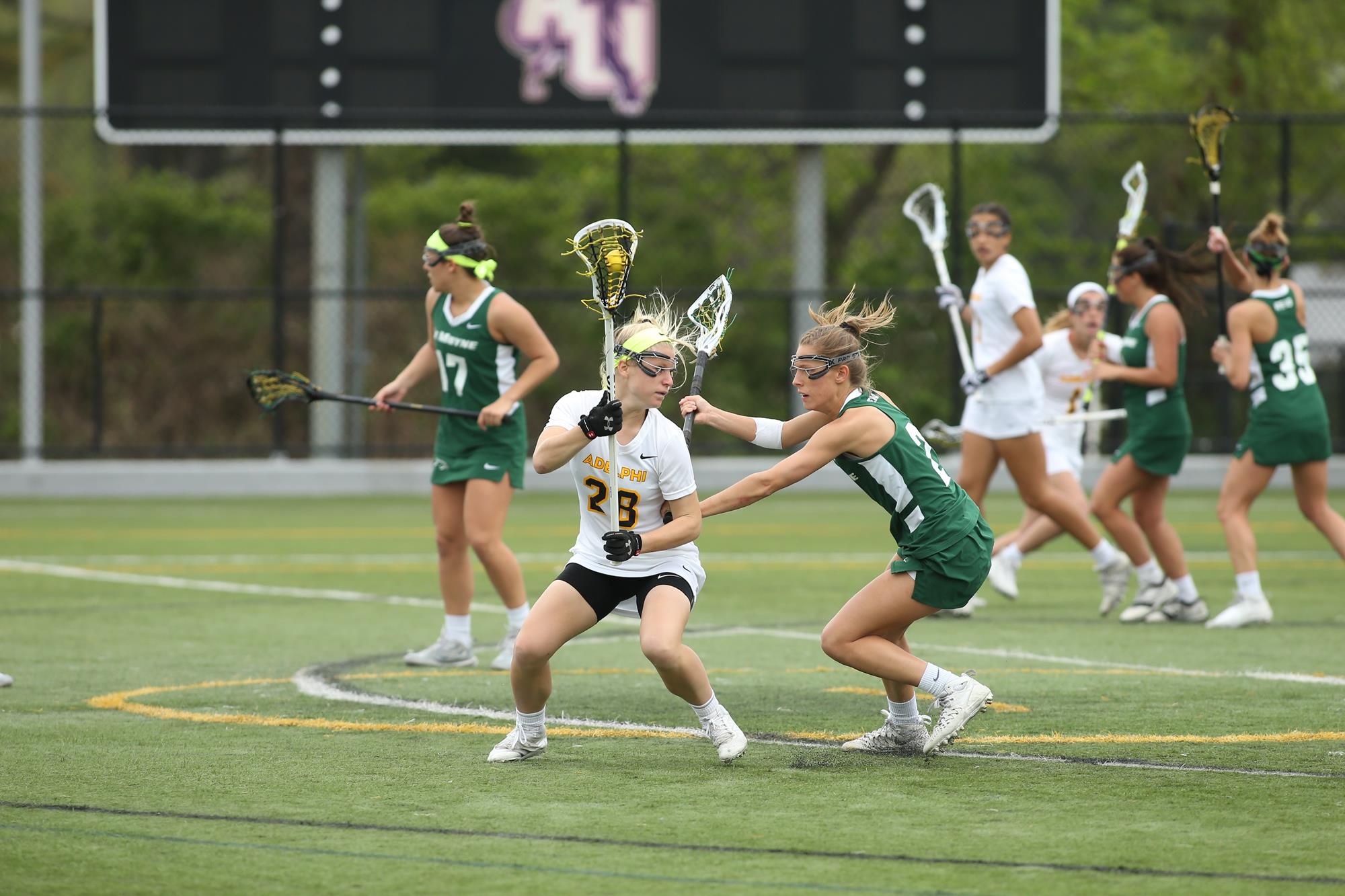 Allison Stackpole - Women's Lacrosse - Adelphi University Athletics