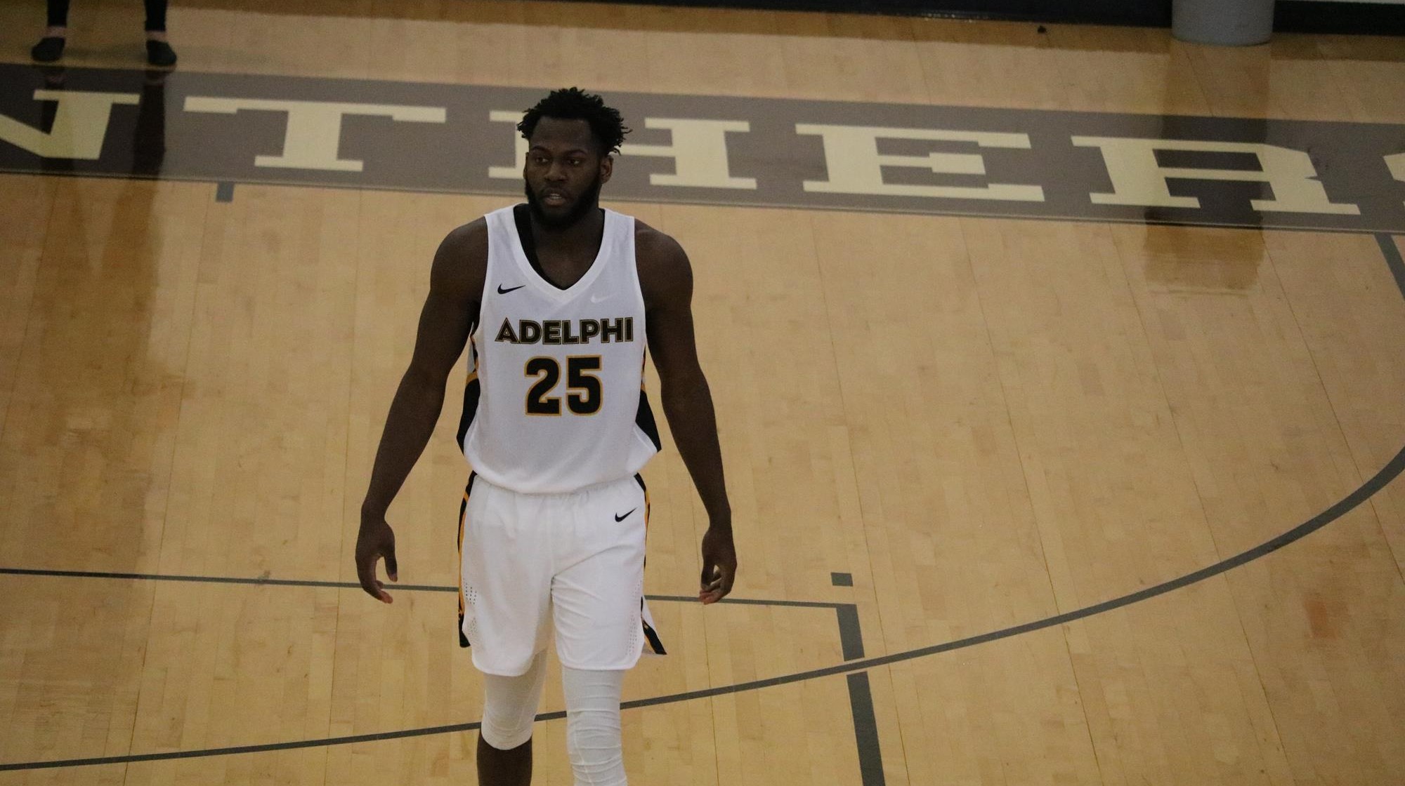 Denzel Jenoure - Men's Basketball - Adelphi University Athletics