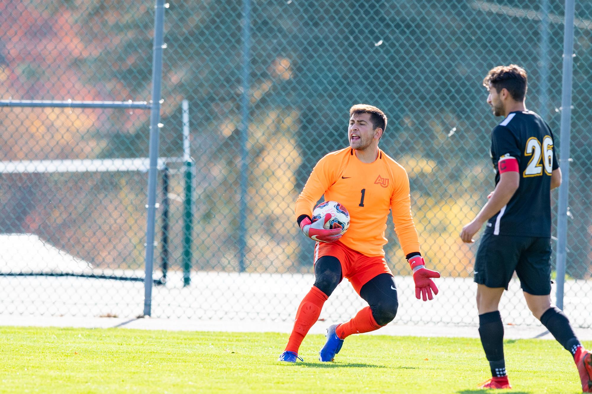 Matt Apicella - Men's Soccer - Adelphi University Athletics