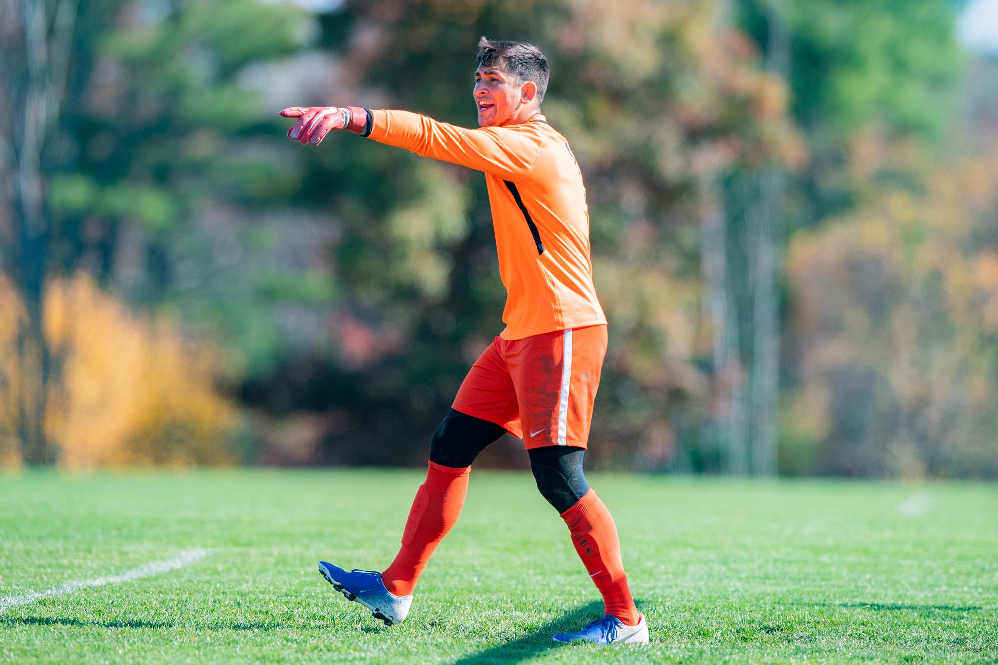 Matt Apicella - Men's Soccer - Adelphi University Athletics