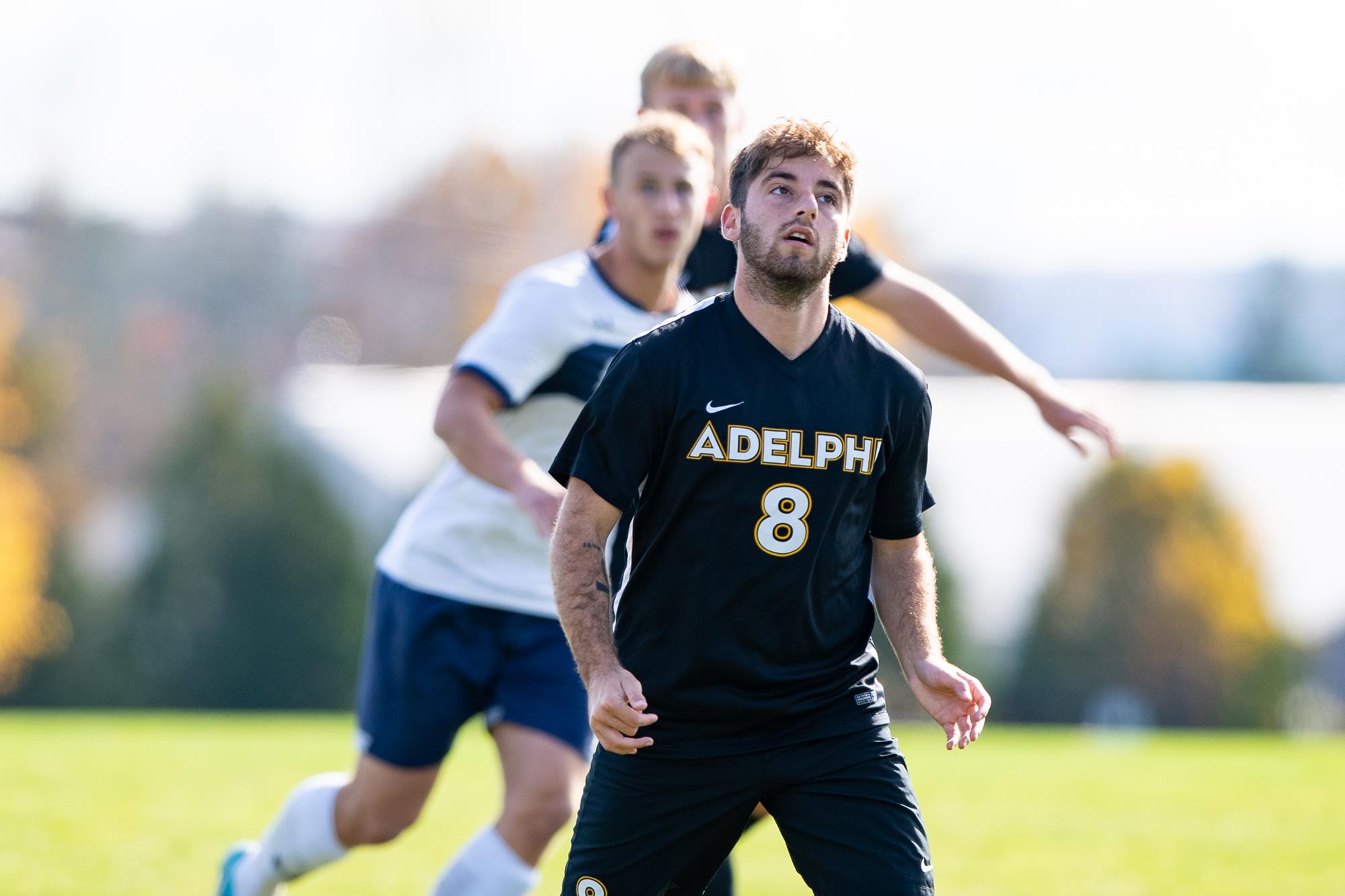 Stephen Megaloudis - Men's Soccer - Adelphi University Athletics
