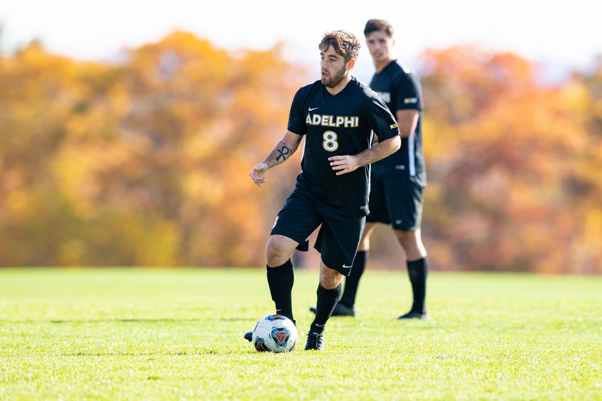 Stephen Megaloudis - Men's Soccer - Adelphi University Athletics