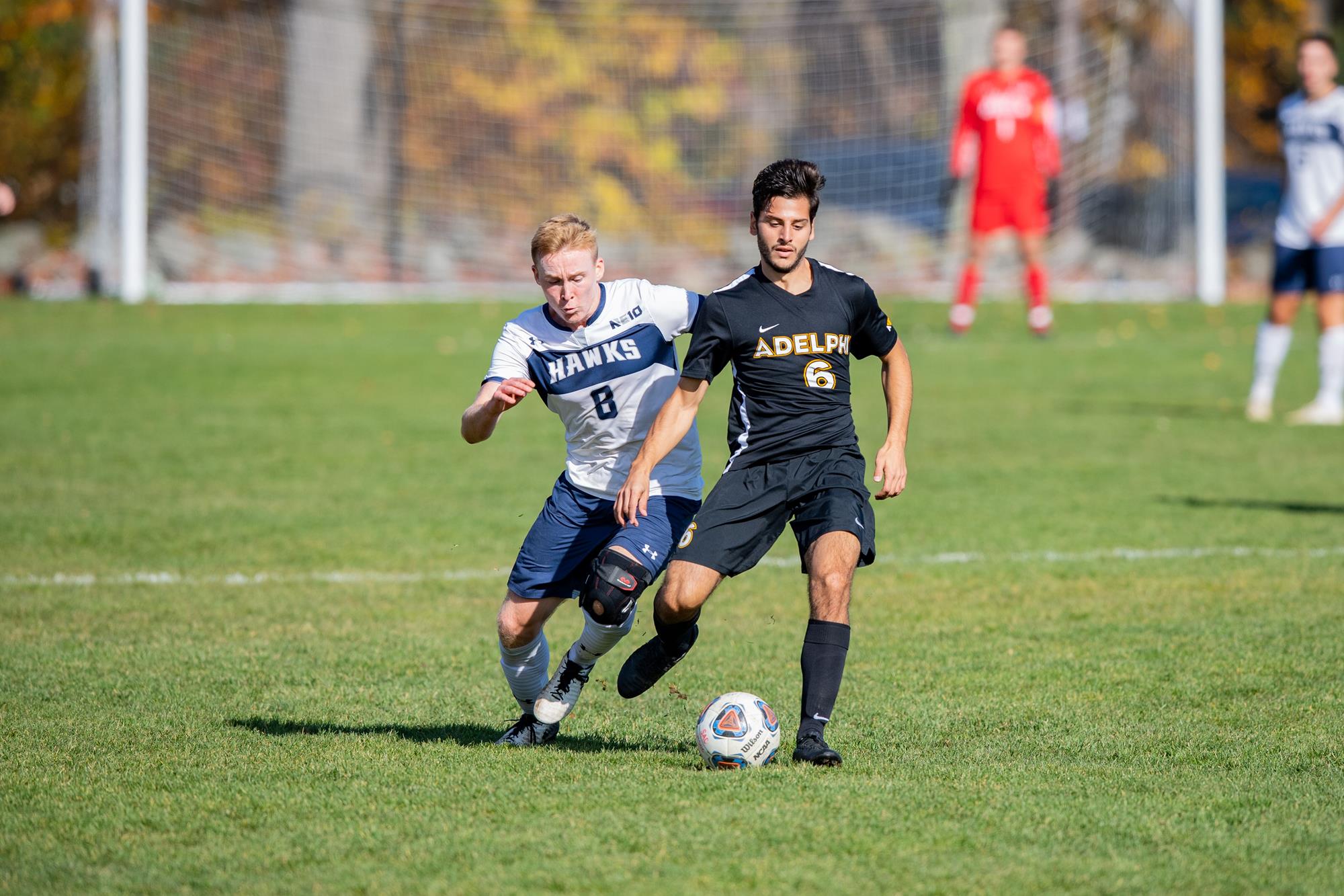 Pier Paolo Navarro - Men's Soccer - Adelphi University Athletics