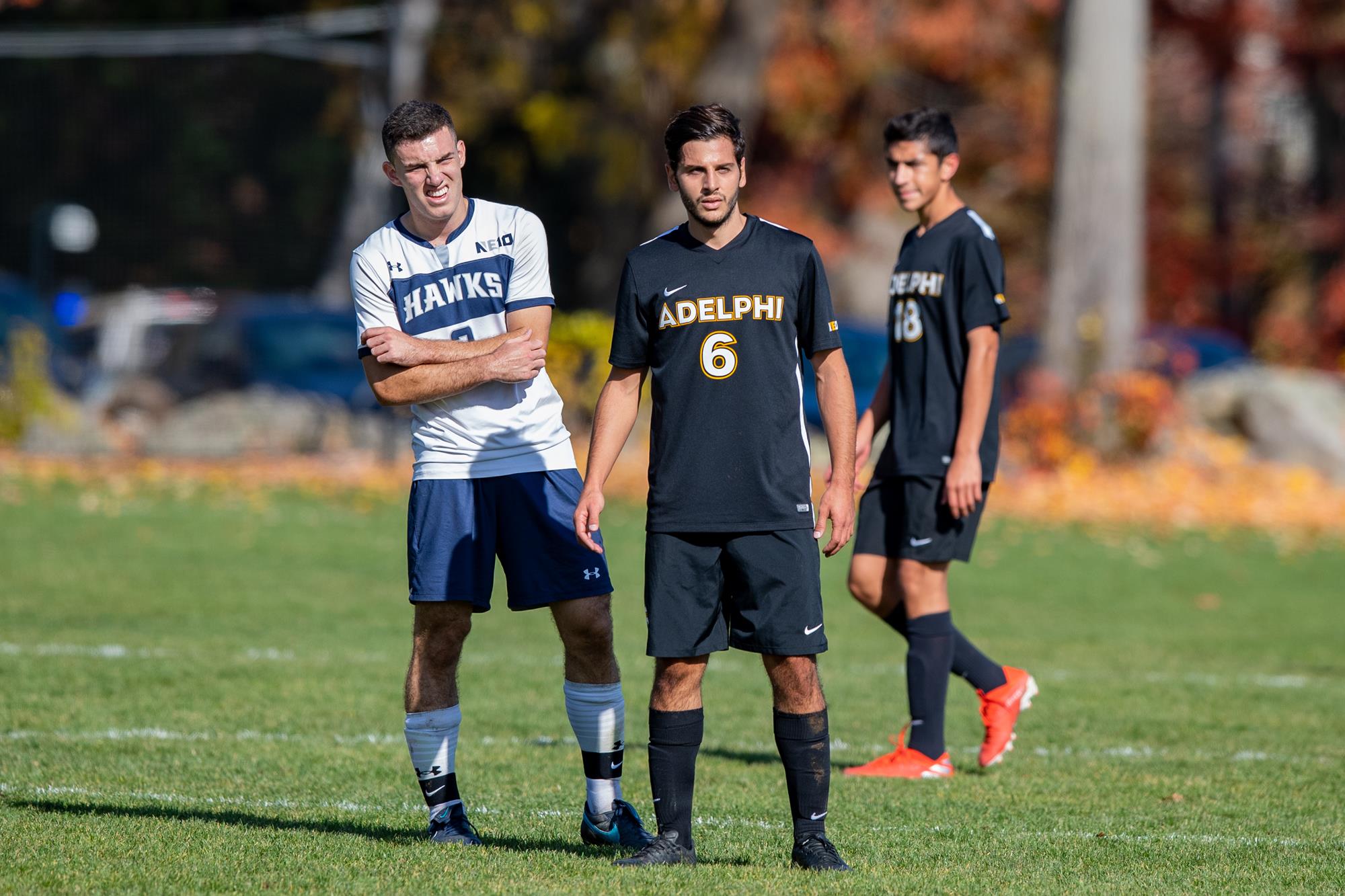 Pier Paolo Navarro - Men's Soccer - Adelphi University Athletics