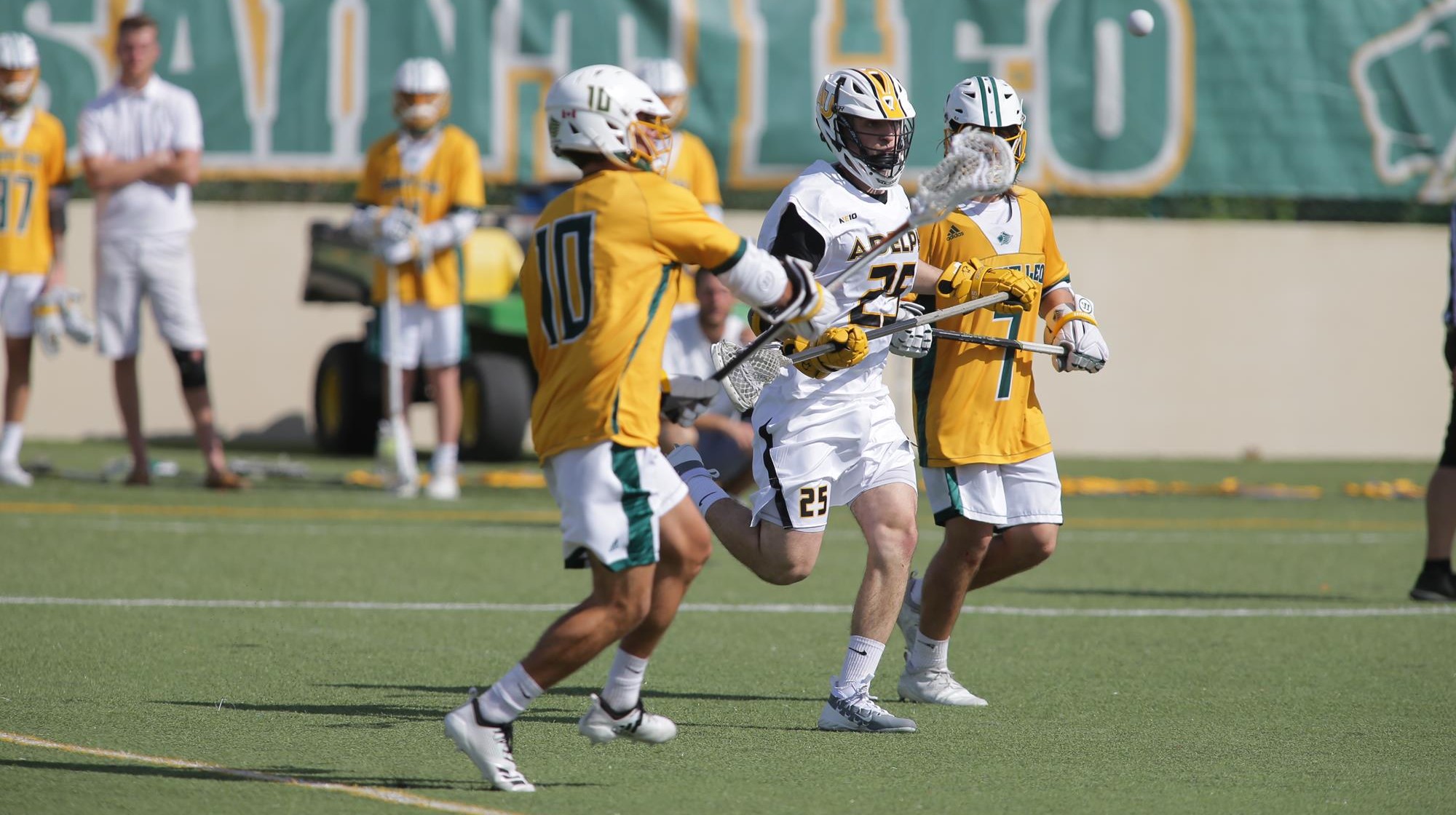 Lawrence Marino - Men's Lacrosse - Adelphi University Athletics