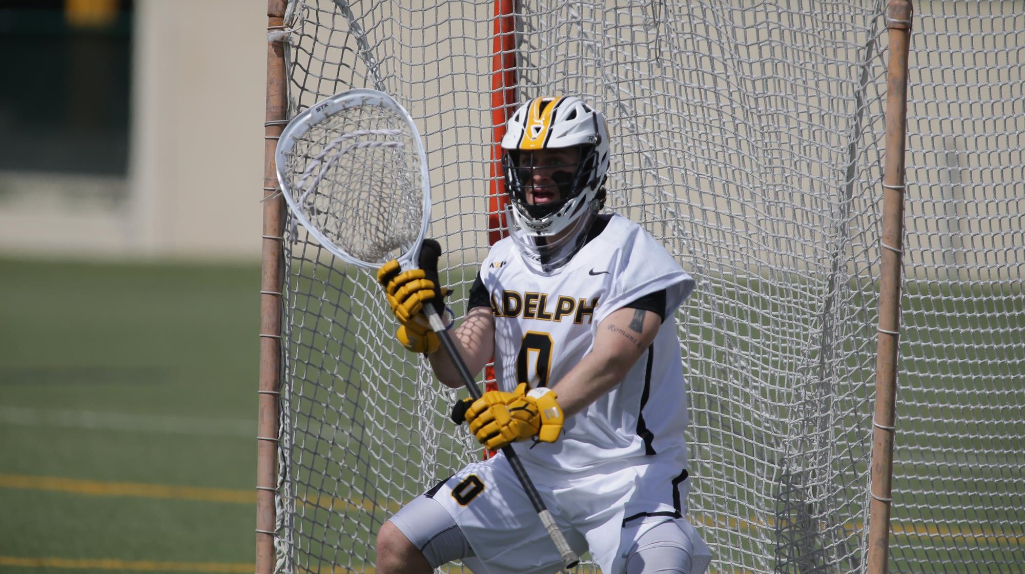 Thomas Vasquez - Men's Lacrosse - Adelphi University Athletics