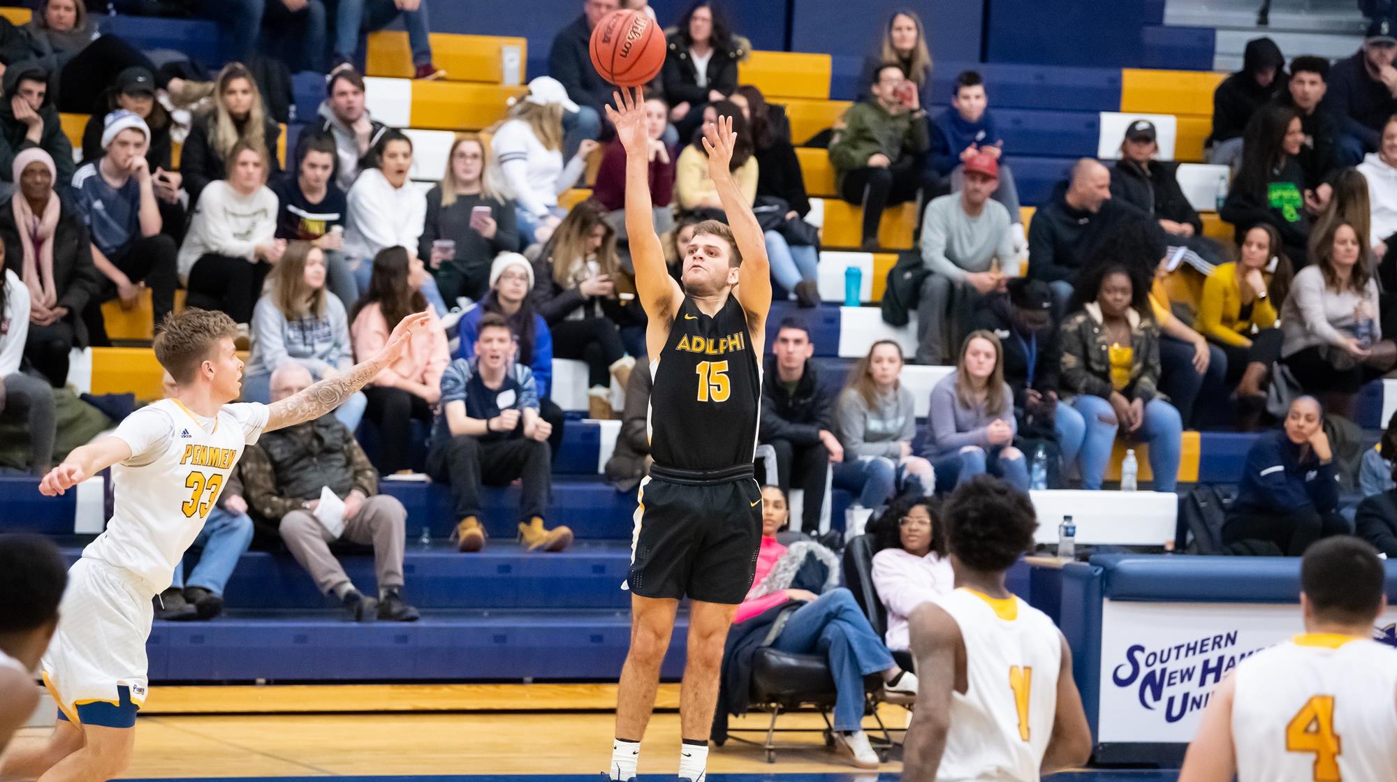 Jack Laffey - Men's Basketball - Adelphi University Athletics