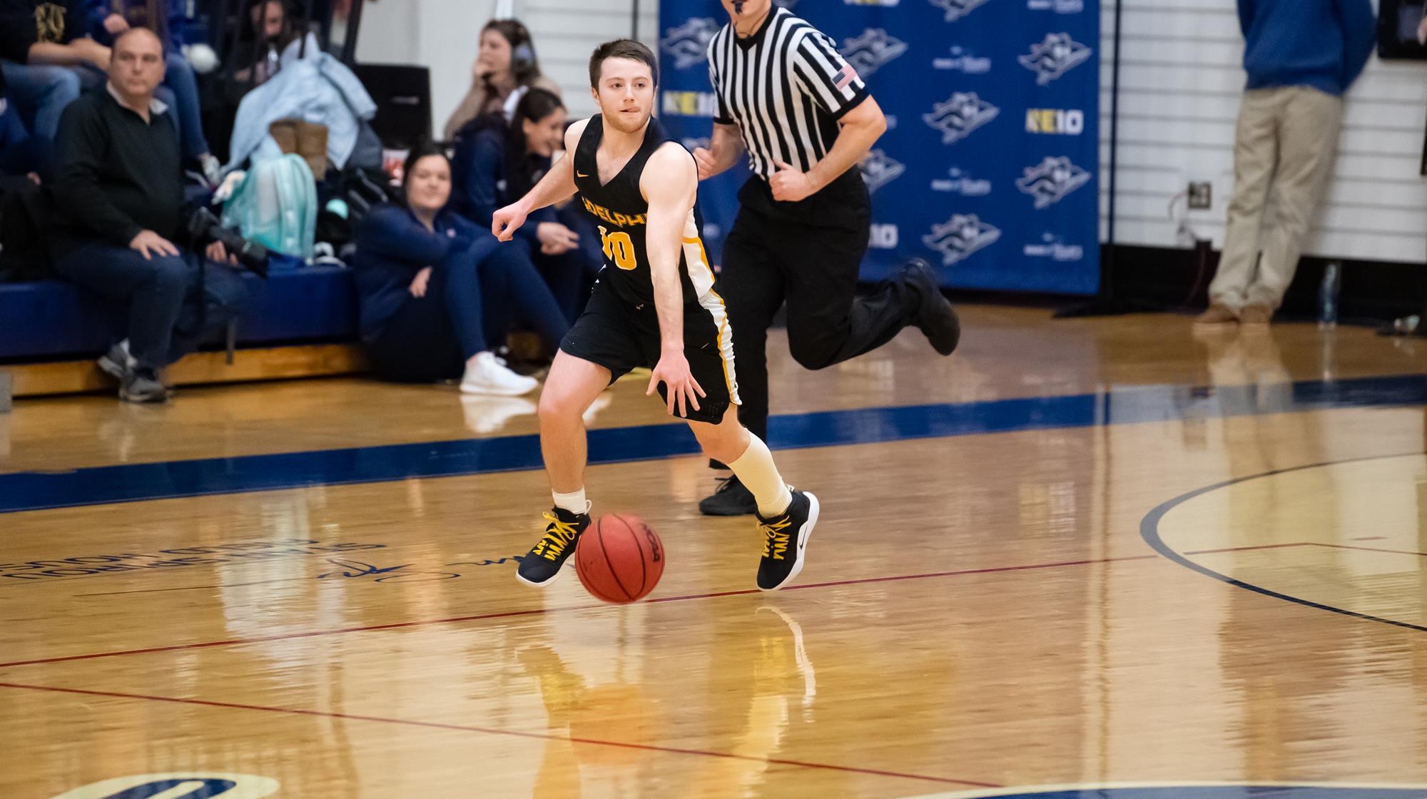 Conor McGuinness - Men's Basketball - Adelphi University Athletics