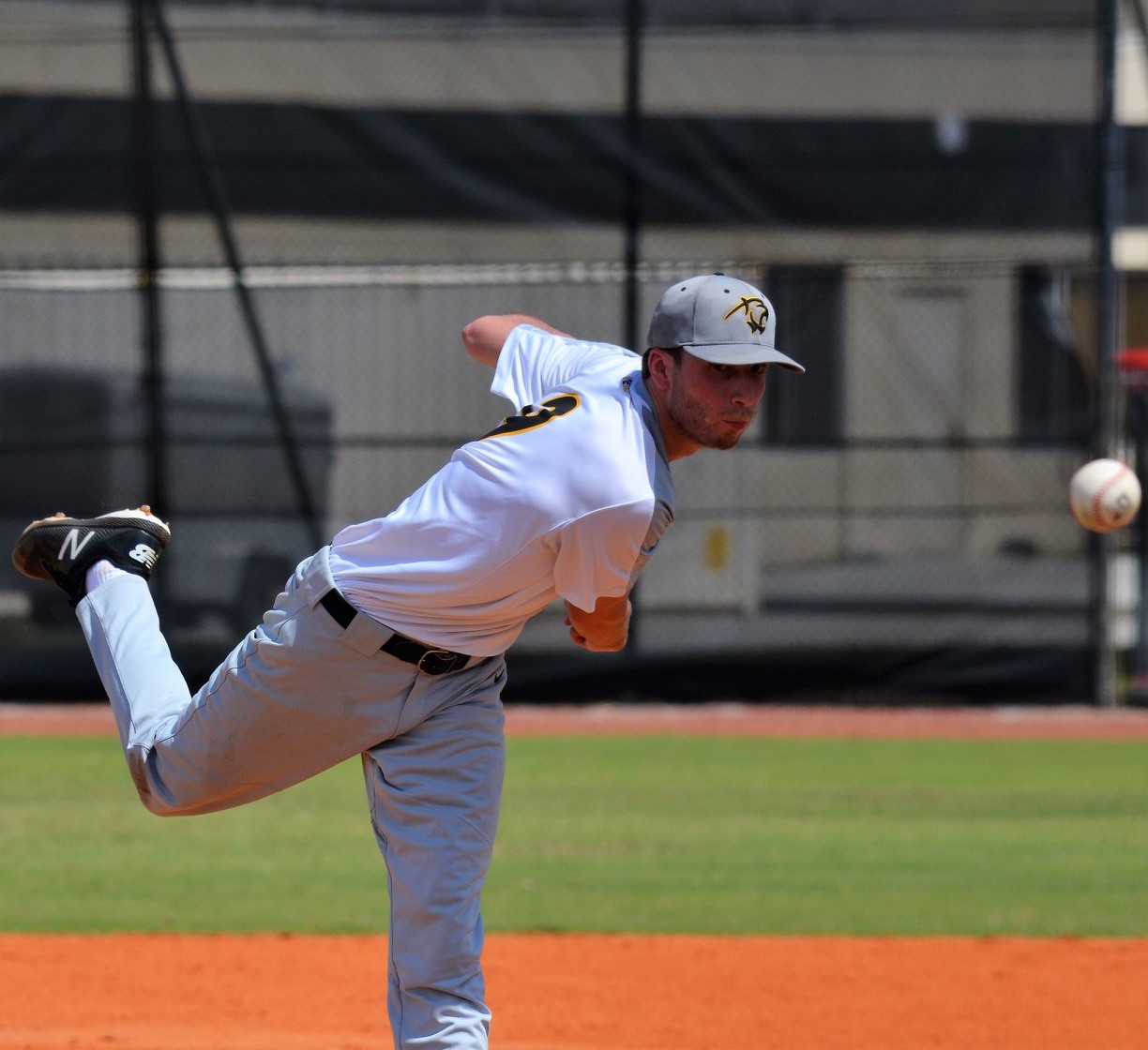 Max Steele - Baseball - Adelphi University Athletics